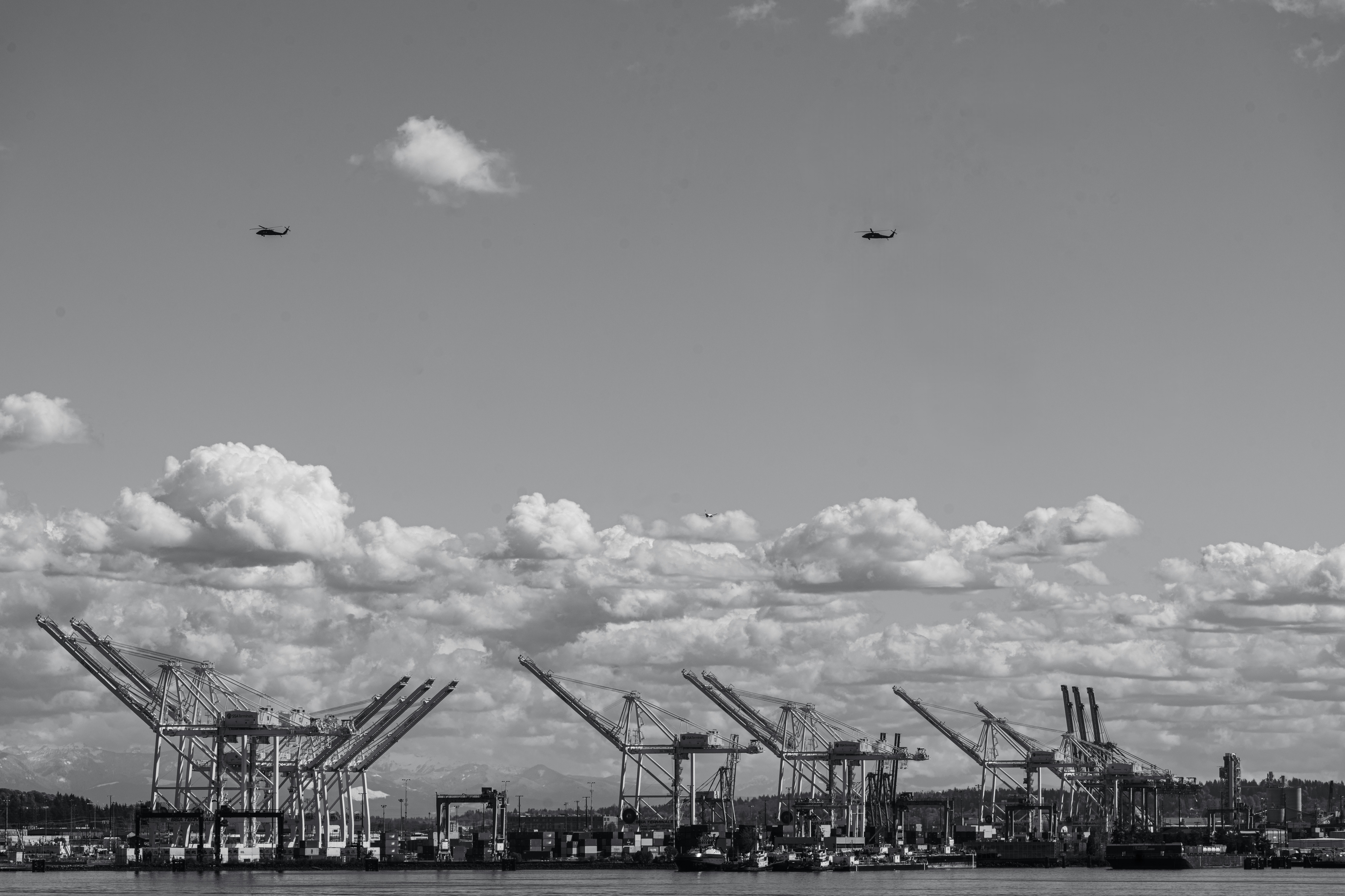 Harbor's Steel Symmetry: Cranes Against a Wide Sky