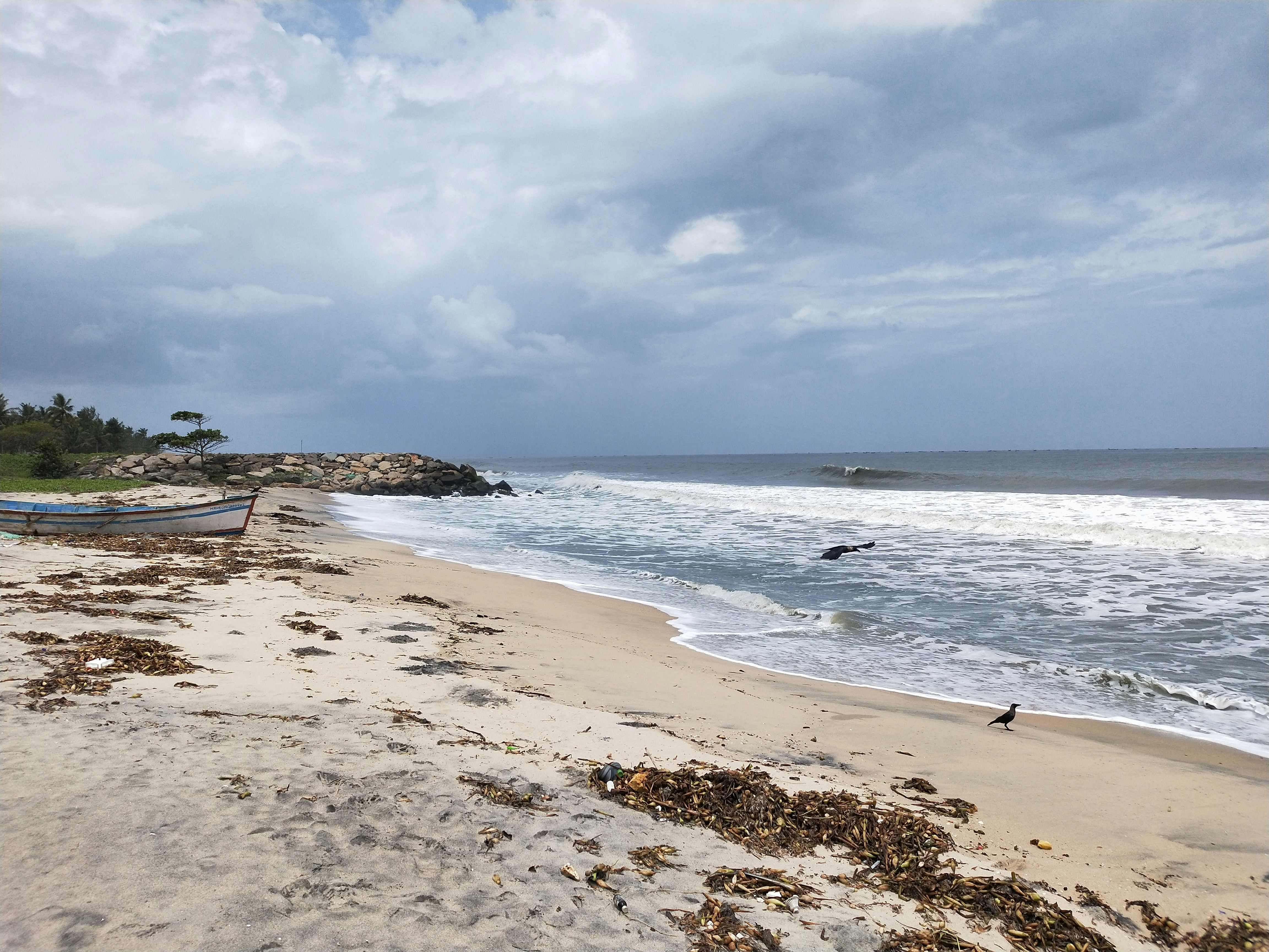 Coastline Quiet: A Gentle Horizon and Tidal Wake