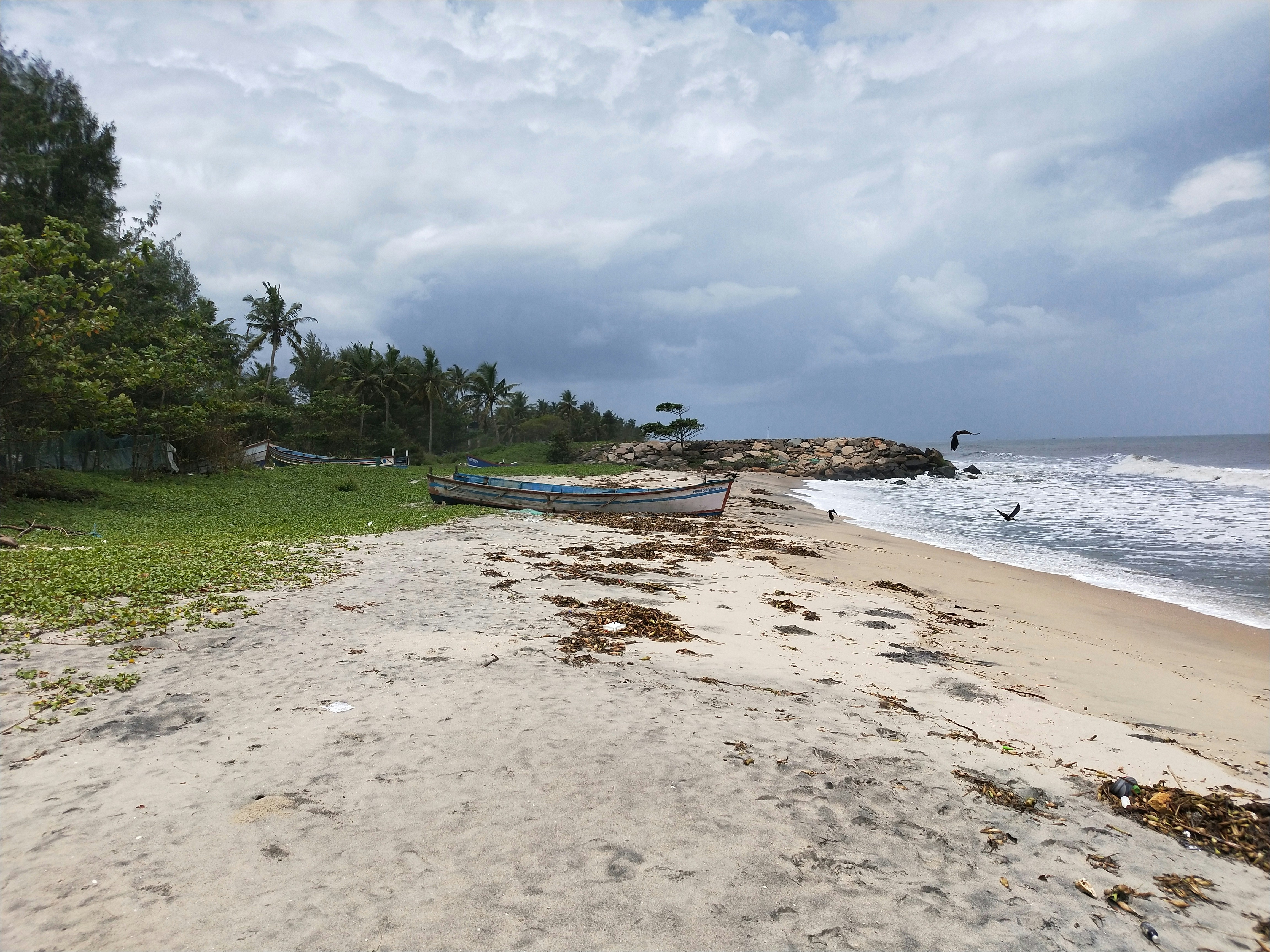 Boat at the Quiet Edge: A Beachbound Moment
