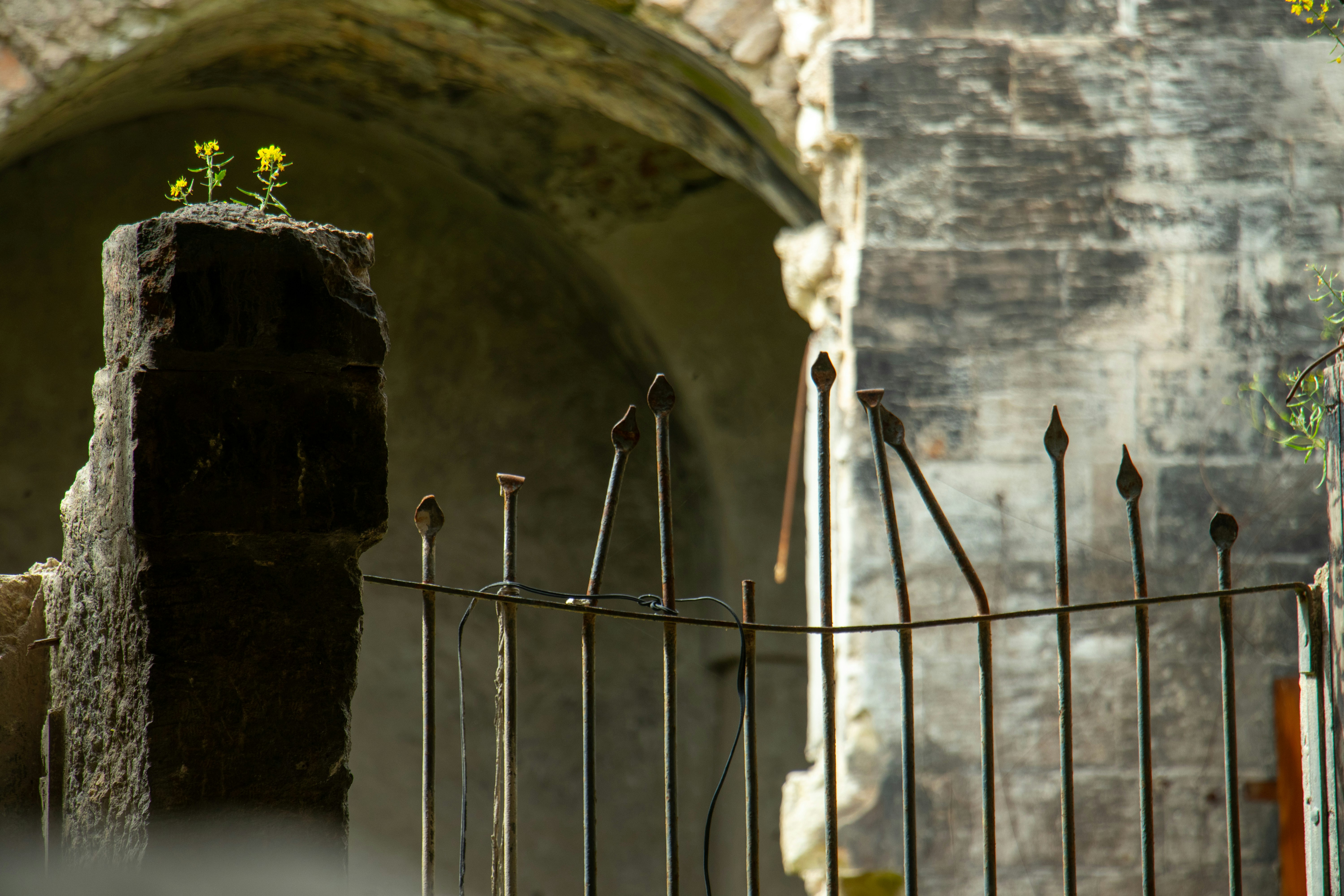 Old Iron Gate Framing a Worn Archway