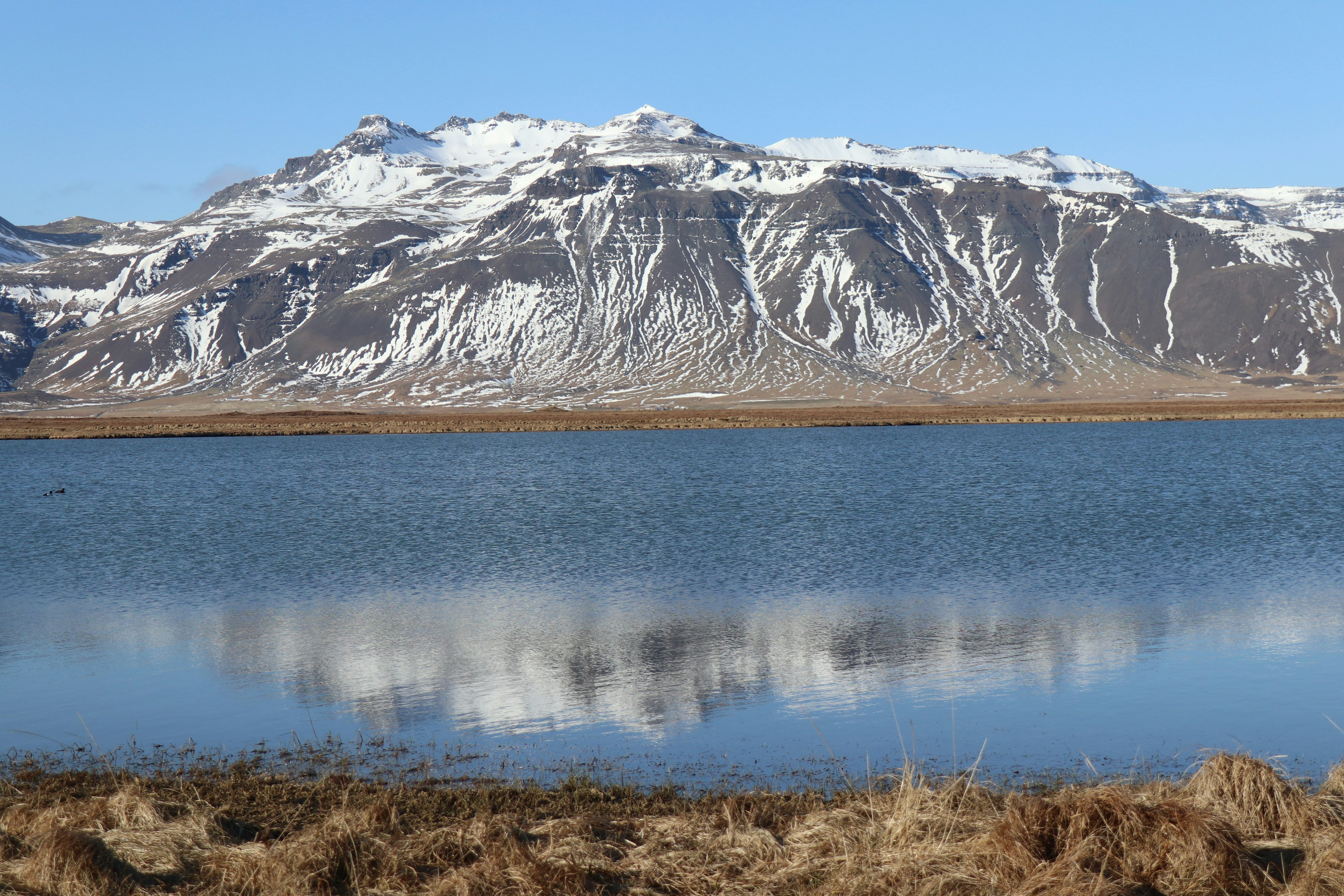 Snow-kissed Peaks Casting a Quiet Mirror over a Summer Lake