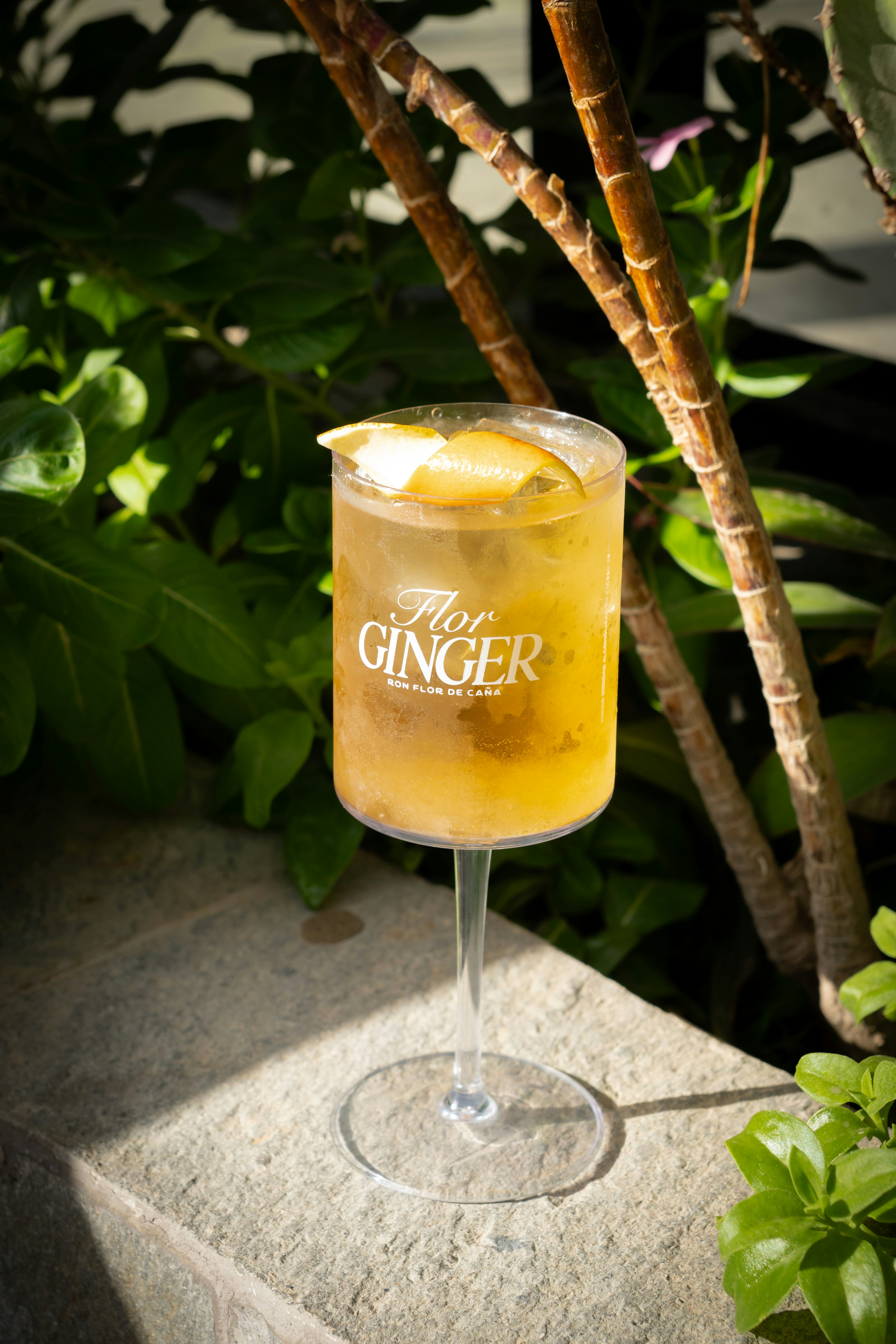 Sunlit Gimlet Glass Among Greenery