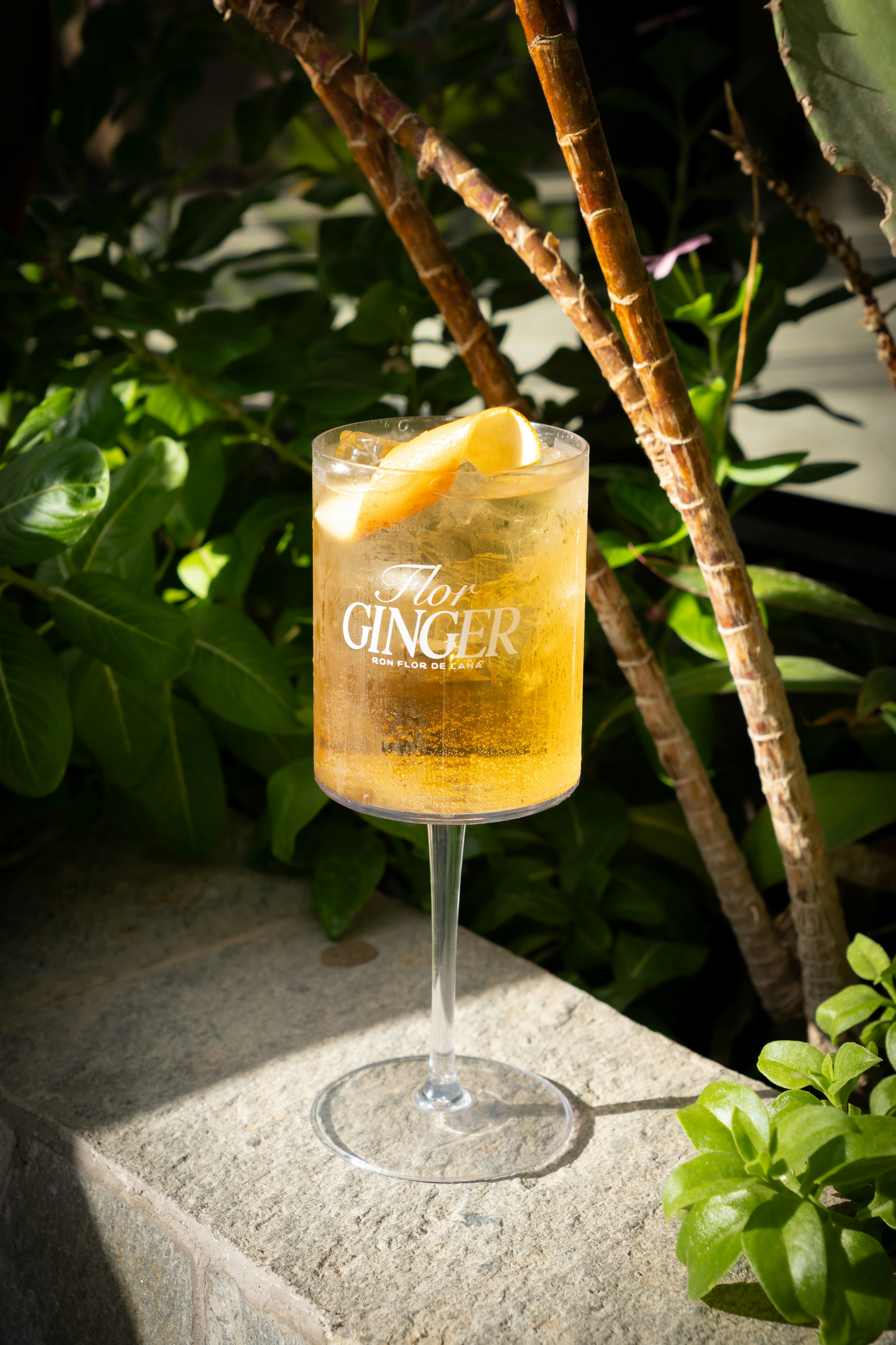 Sunlit Gilded Glass: A Citrus Moment Amid Green