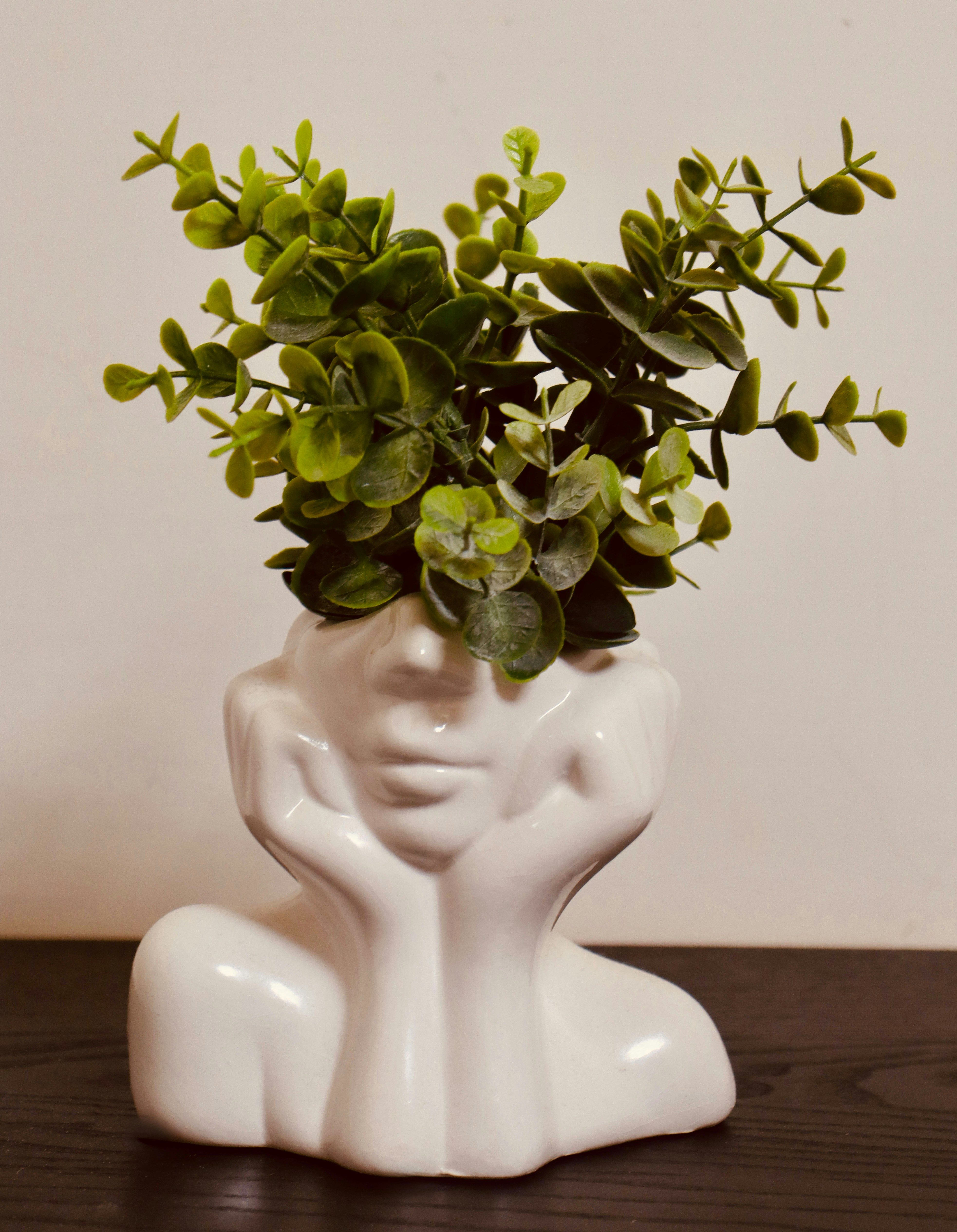 Head of greenery: a ceramic bust hosting a lush plant crown