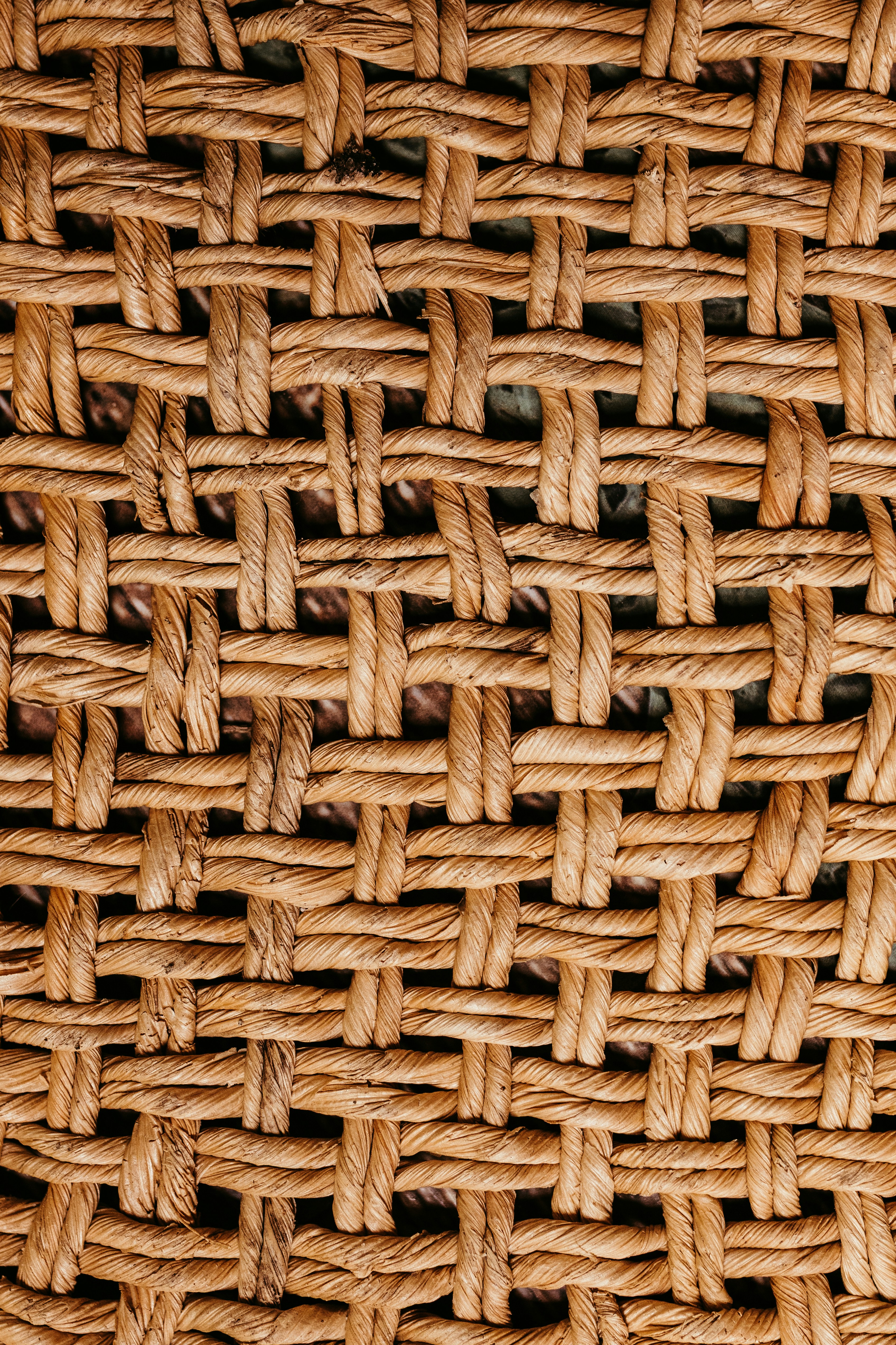 Interwoven Terrains: A Macro Study in Rattan Texture
