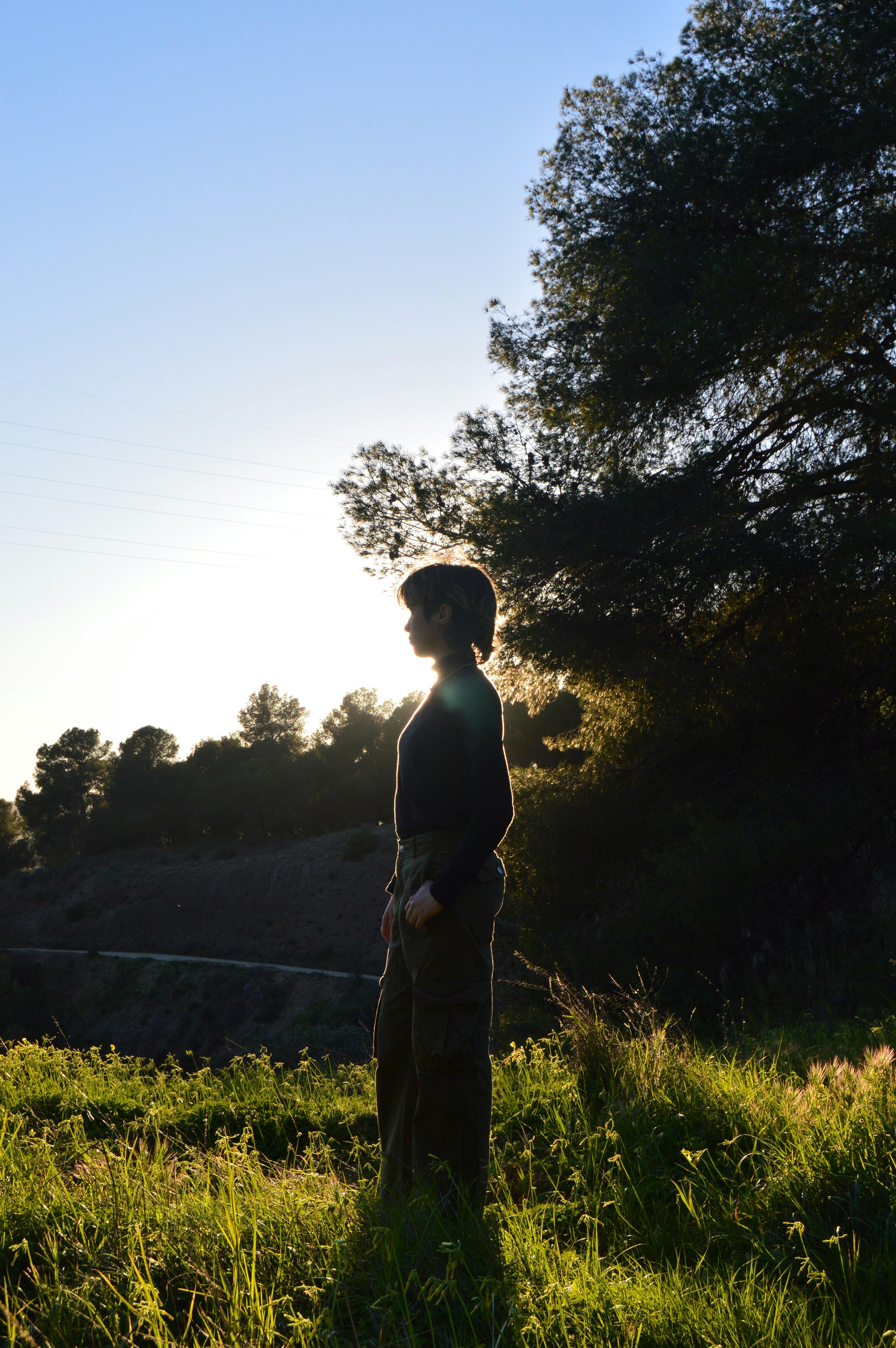Silhouette at Dusk: A Quiet Portrait in Golden Light