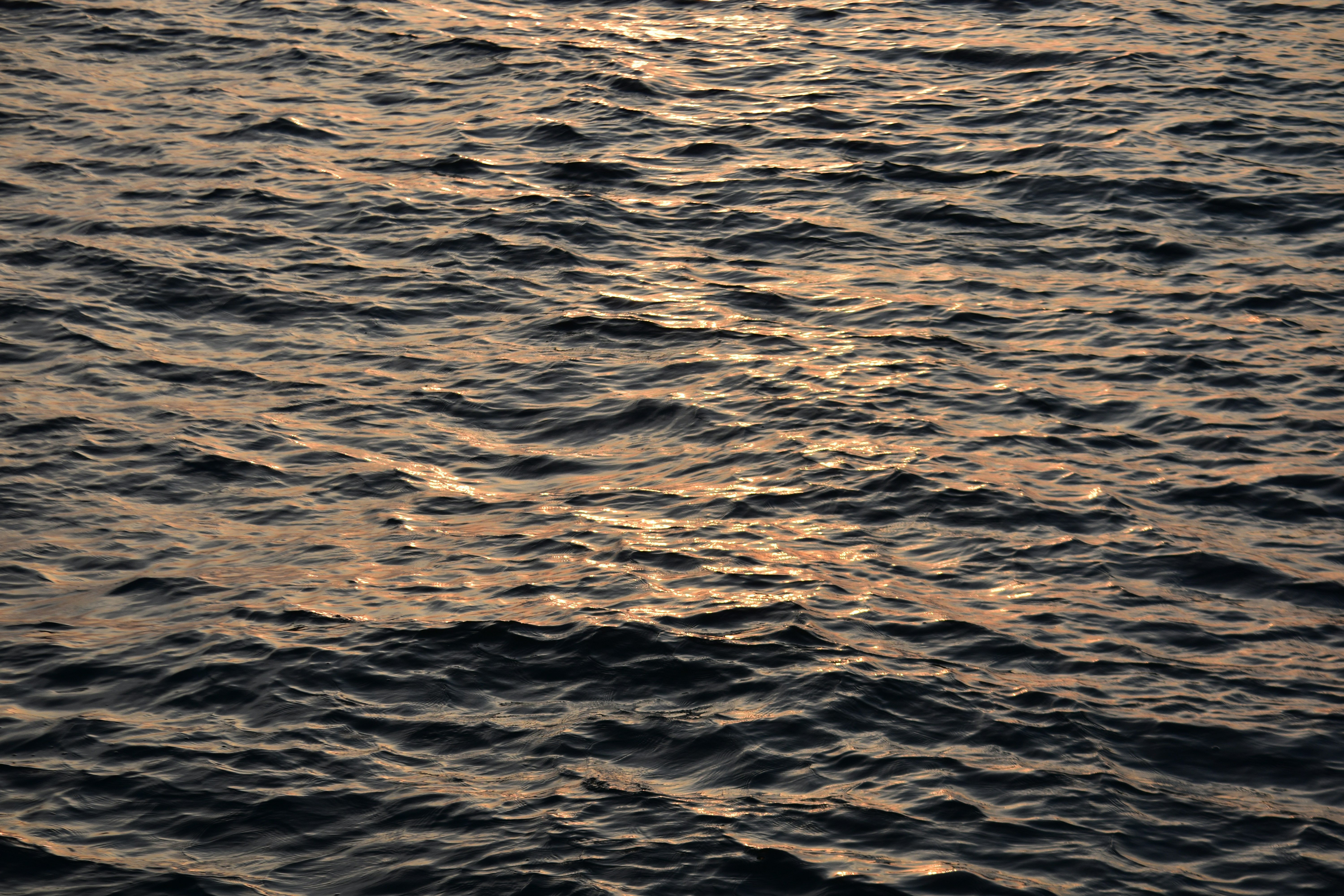Twilight Ripples: A Sea of Quiet Light