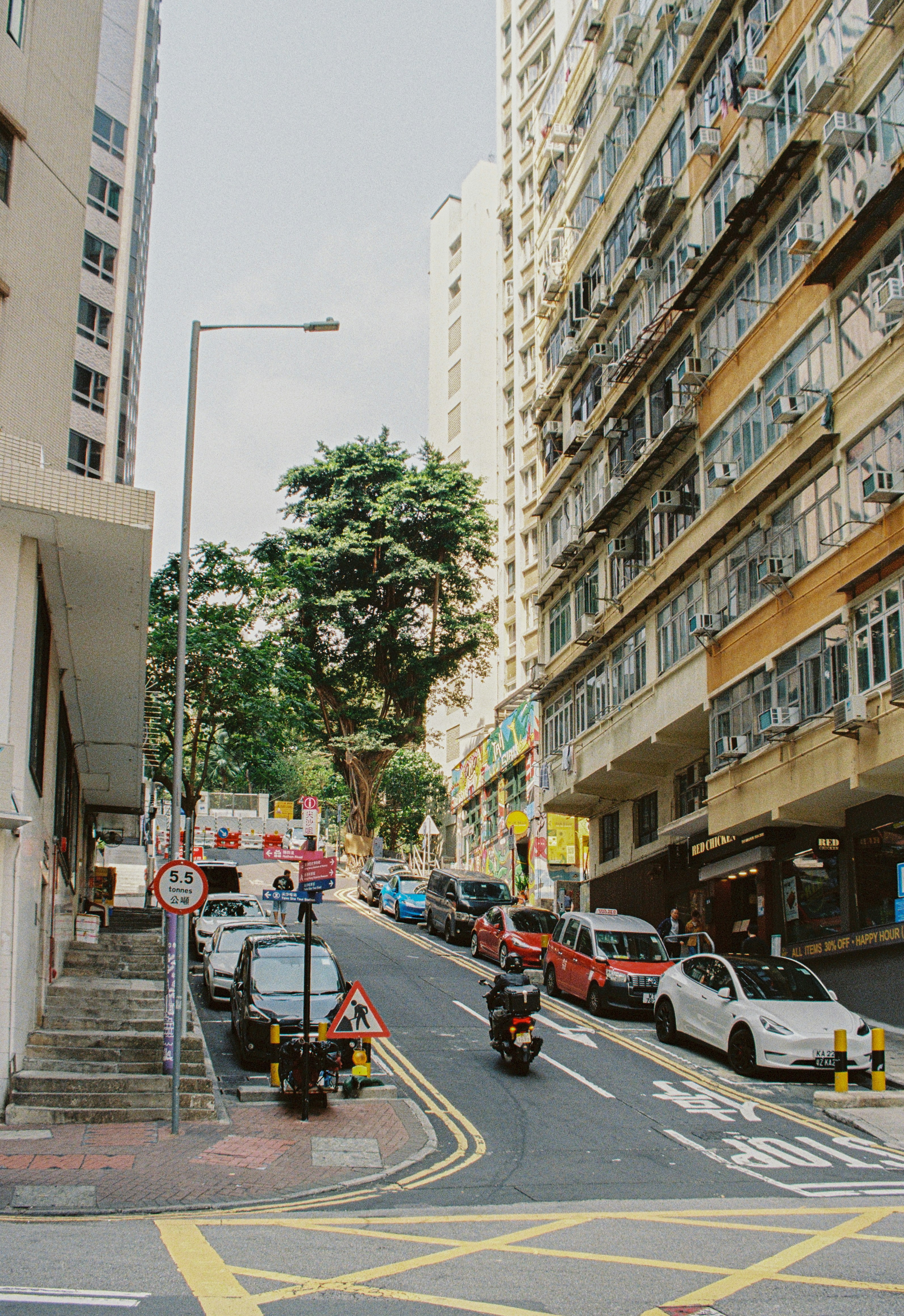 Urban Ascent: Tall Buildings, Street Flow and a Quiet Tree