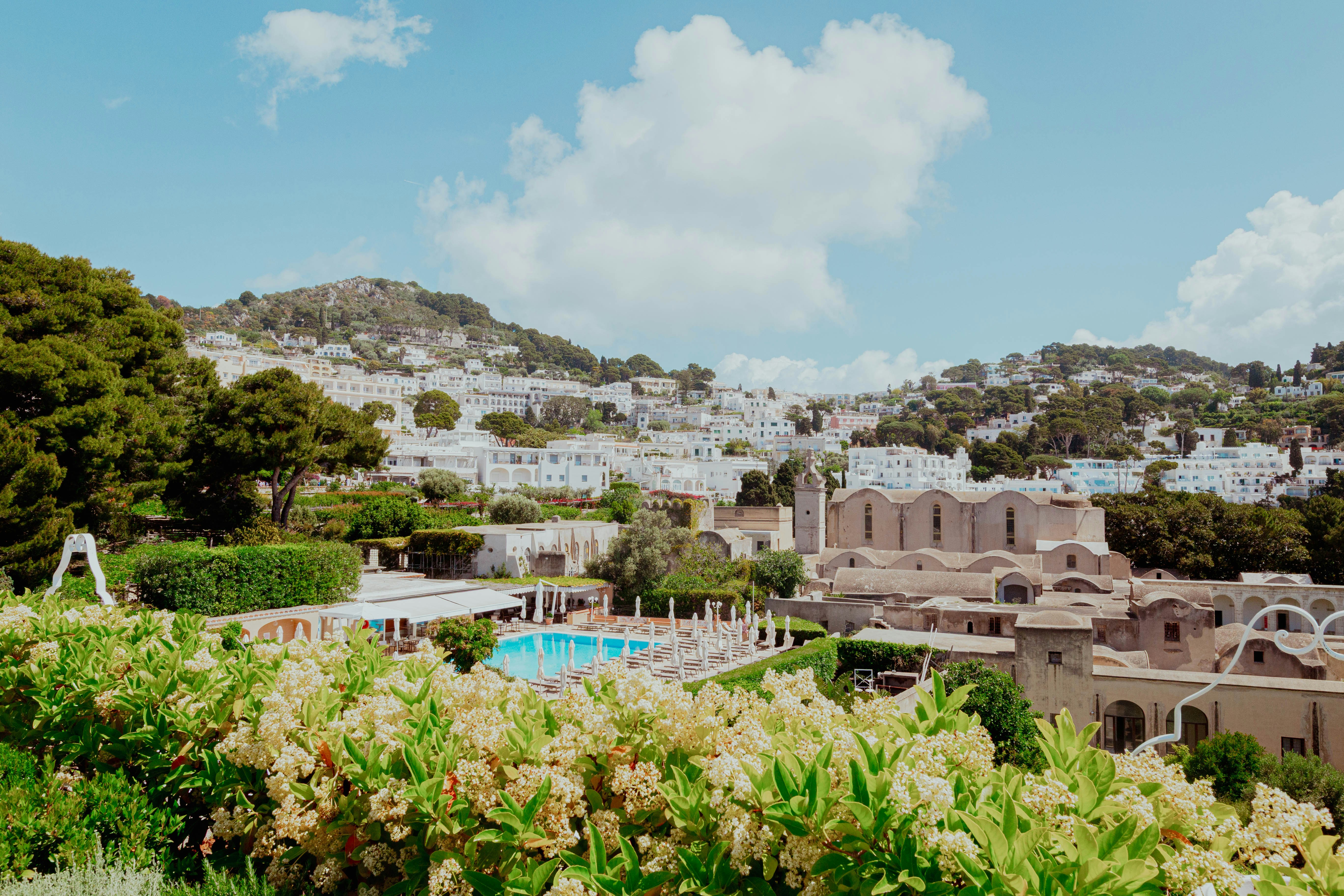 Terraced villas above a sunlit oasis with blooming foreground