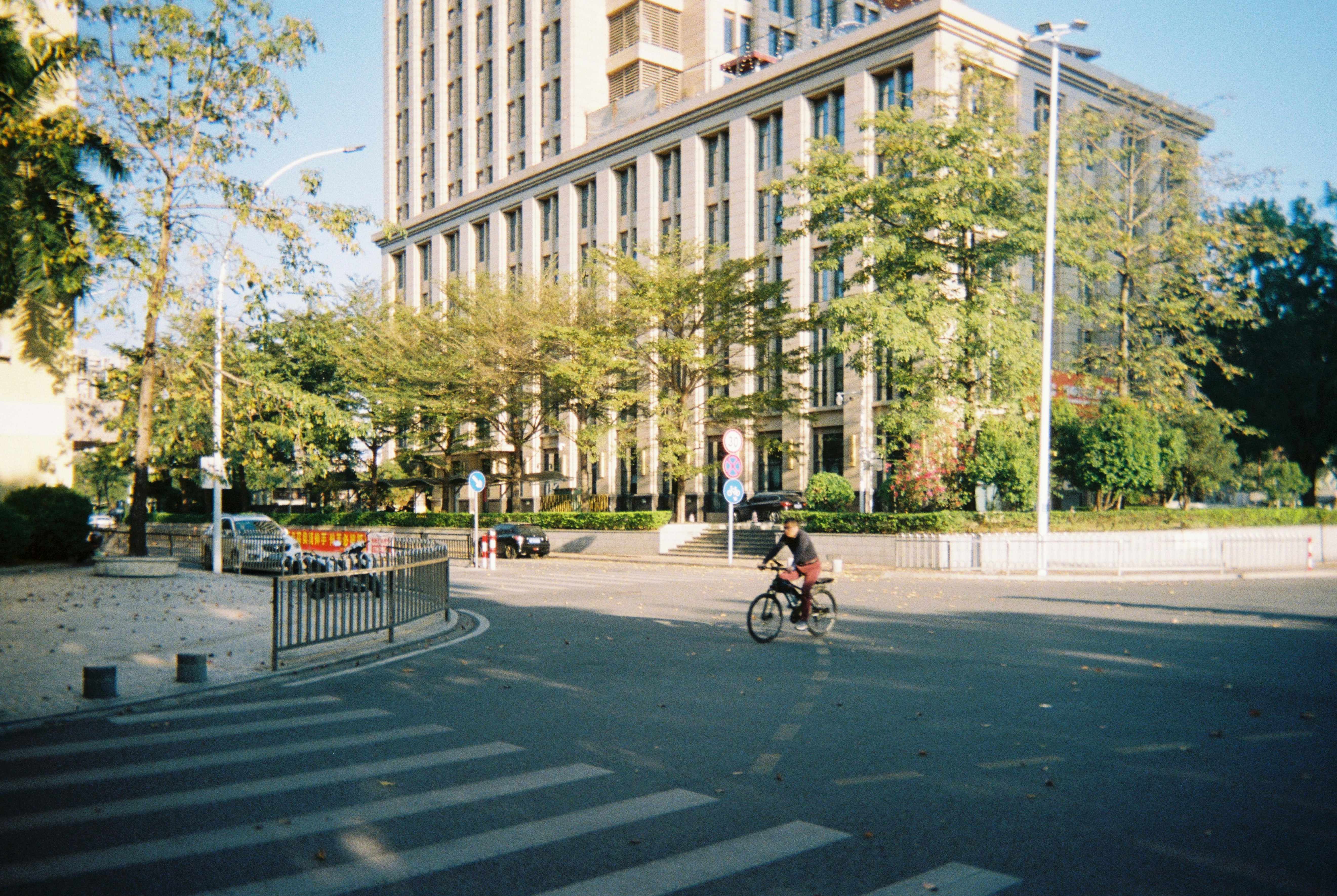 Cityscape Ride: A cyclist traverses a sunlit boulevard before a stately building