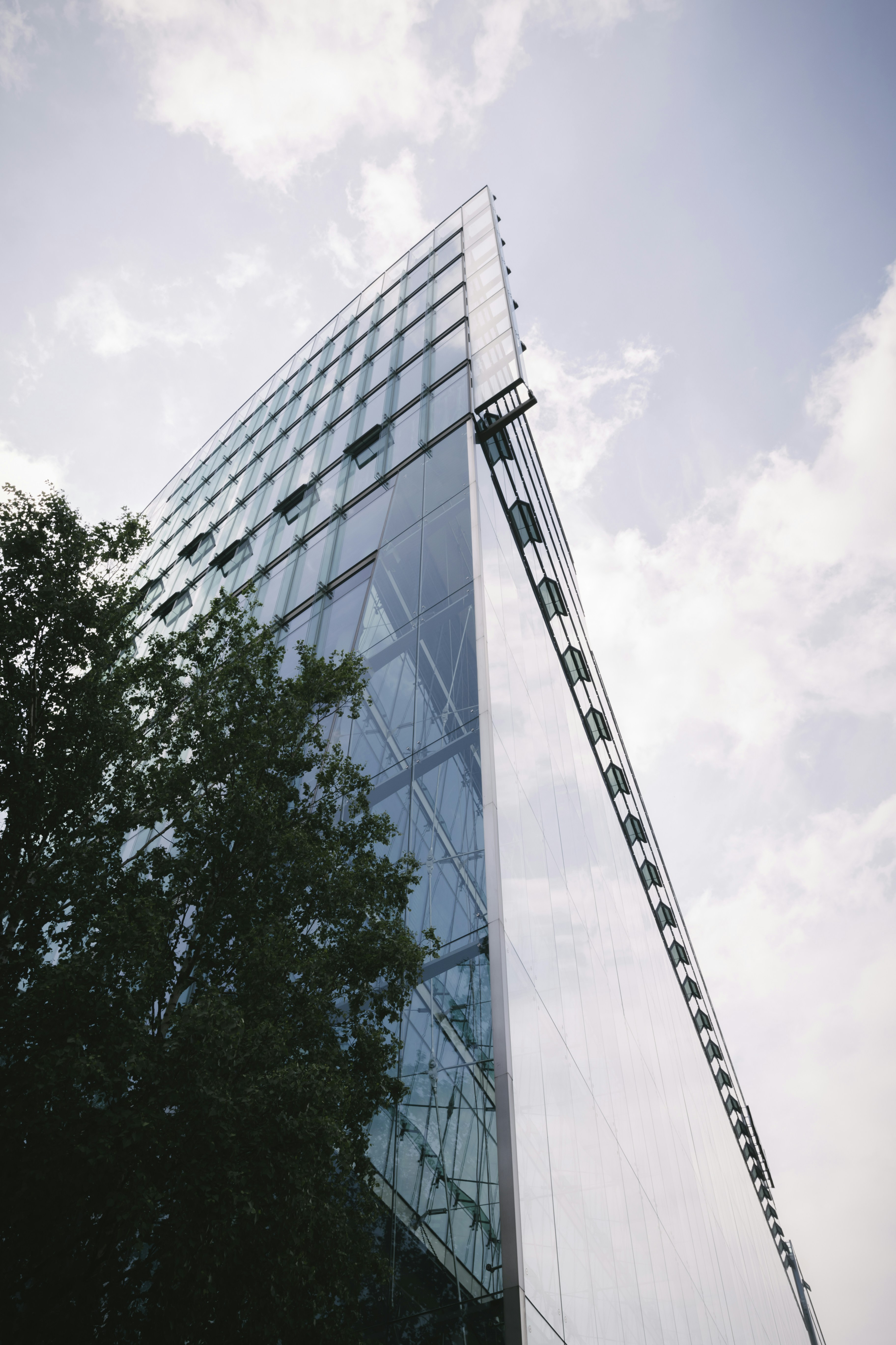 Glass Spine: A Skyscraper Reaching for the Sky