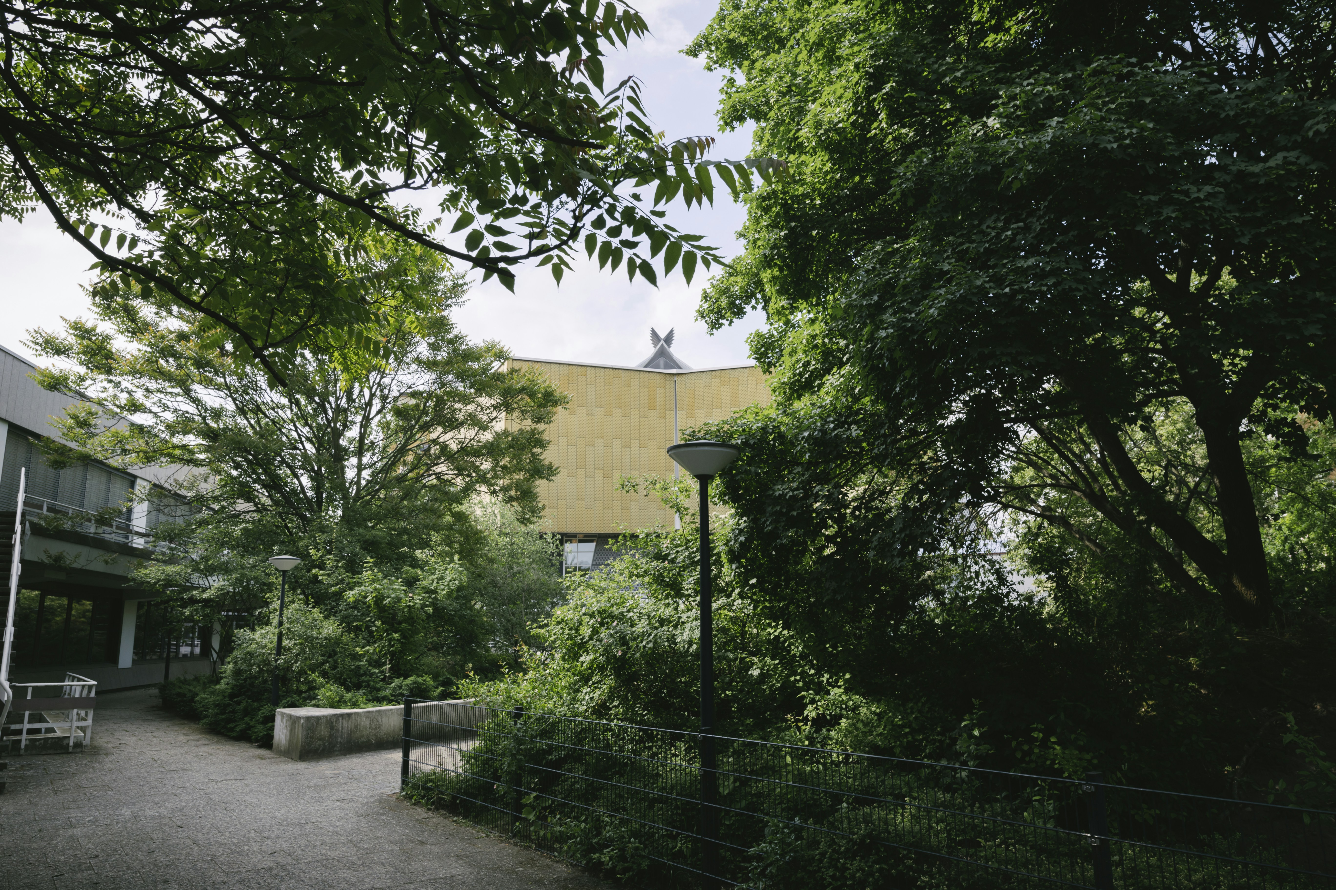 Quiet Campus Courtyard Framed by Dappled Shade