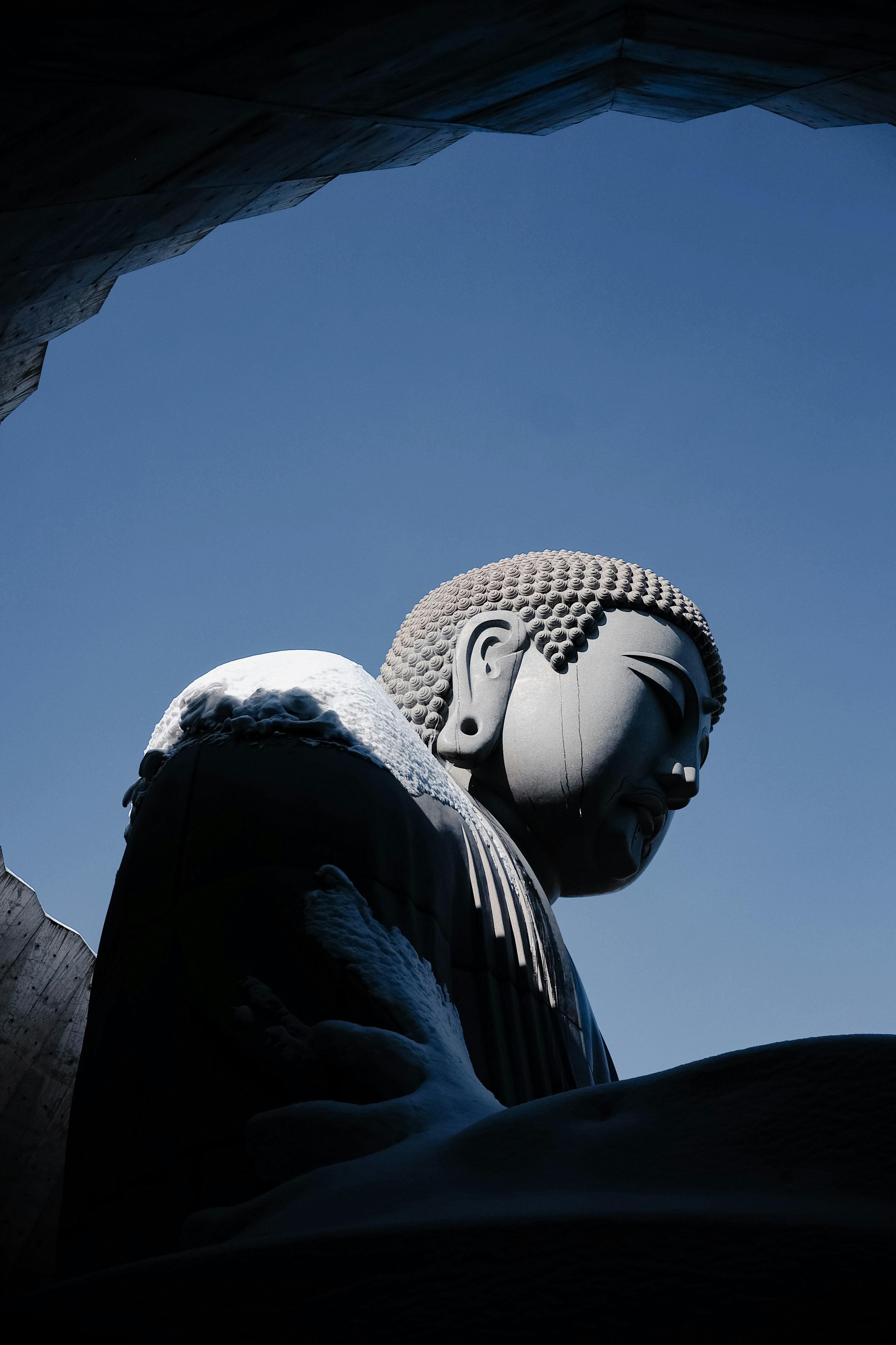 Quiet Scale: The Buddha Bends Toward the Sky