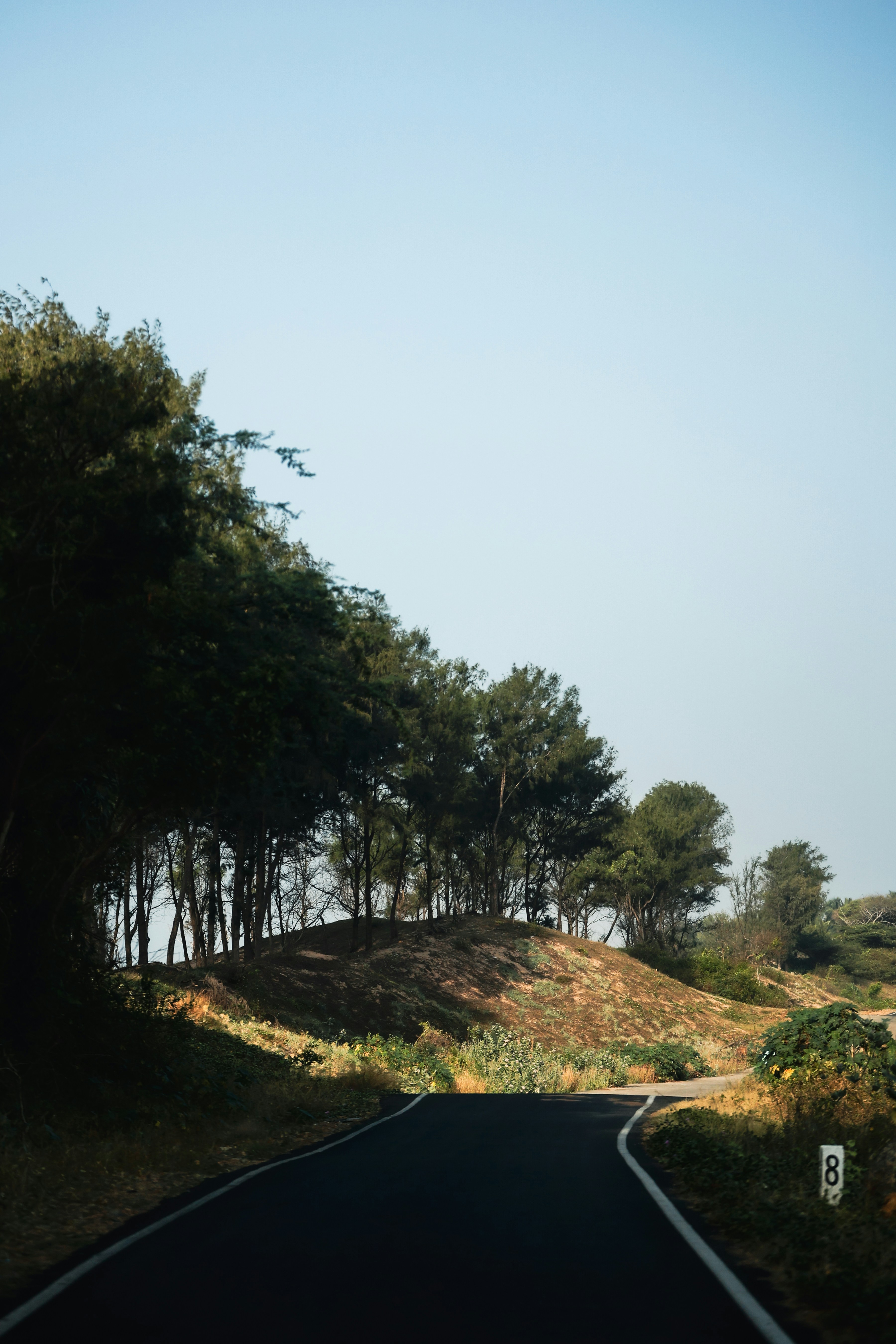 Winding Road Through Morning Hill