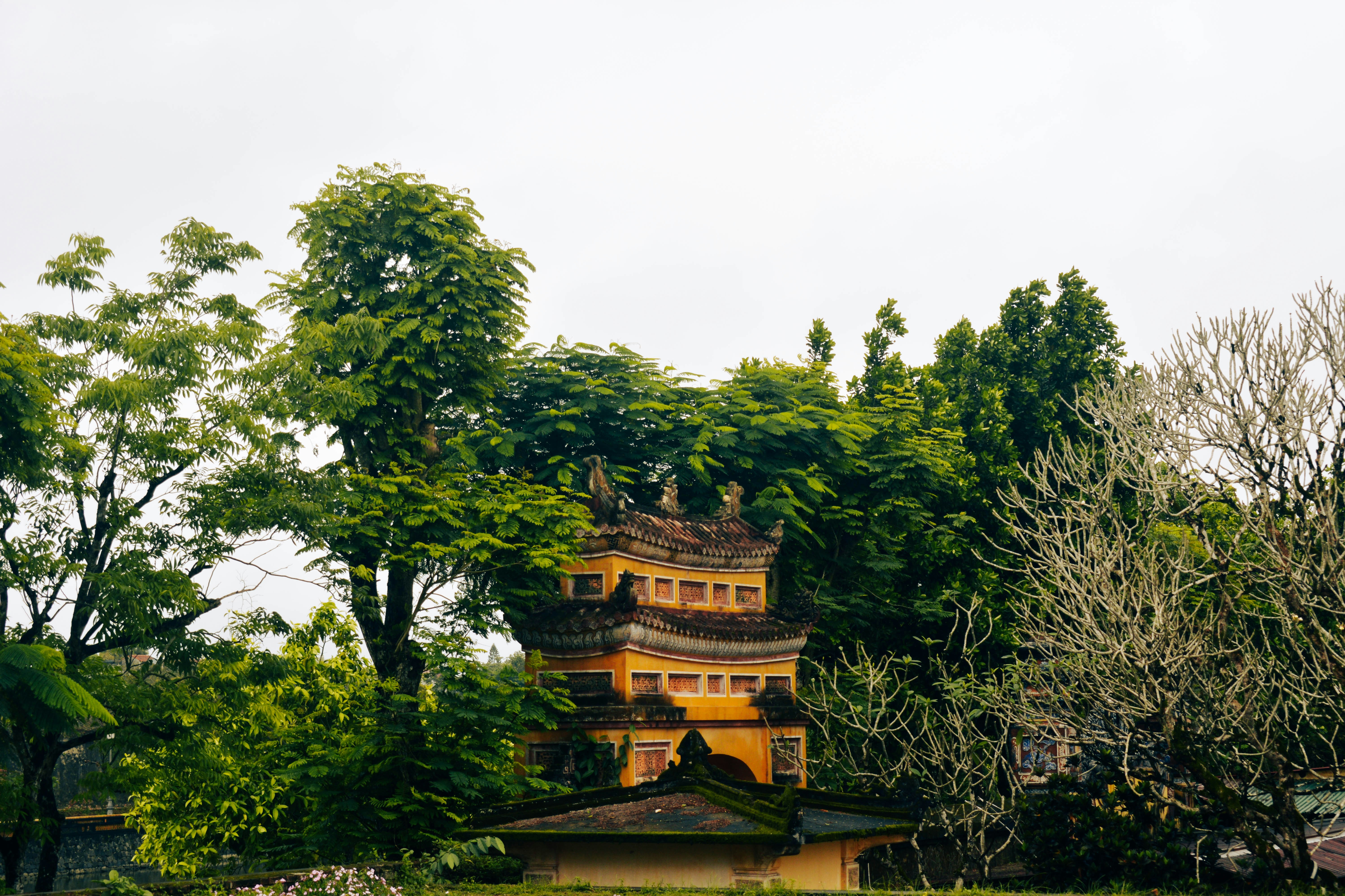 Hidden Temple Amid Verdant Canopy