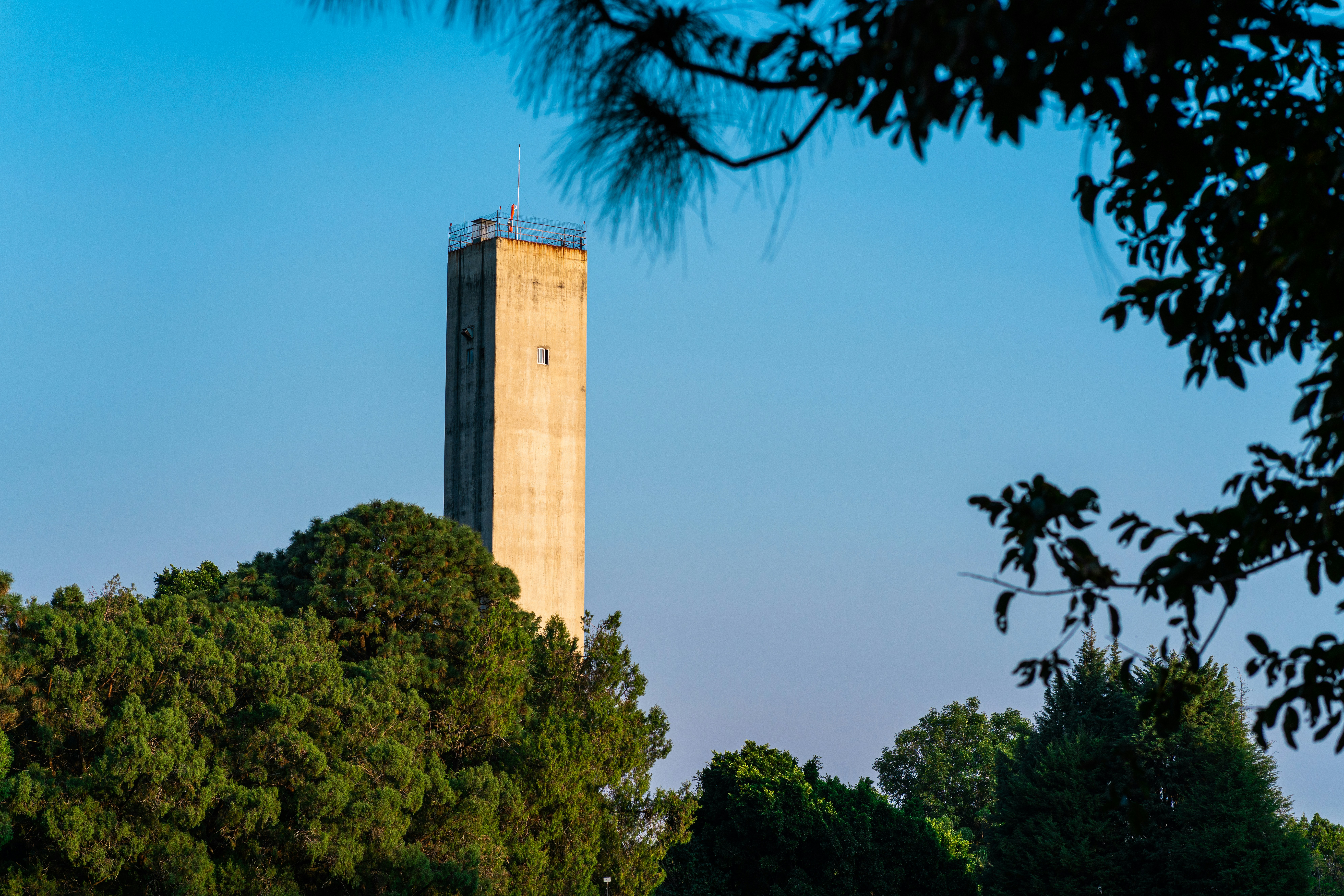 A tall concrete tower rises beyond a lush treeline under a clear blue sky; minimal foreground clutter with branches framing the top. This is a landscape photograph capturing a man-made structure amid nature.