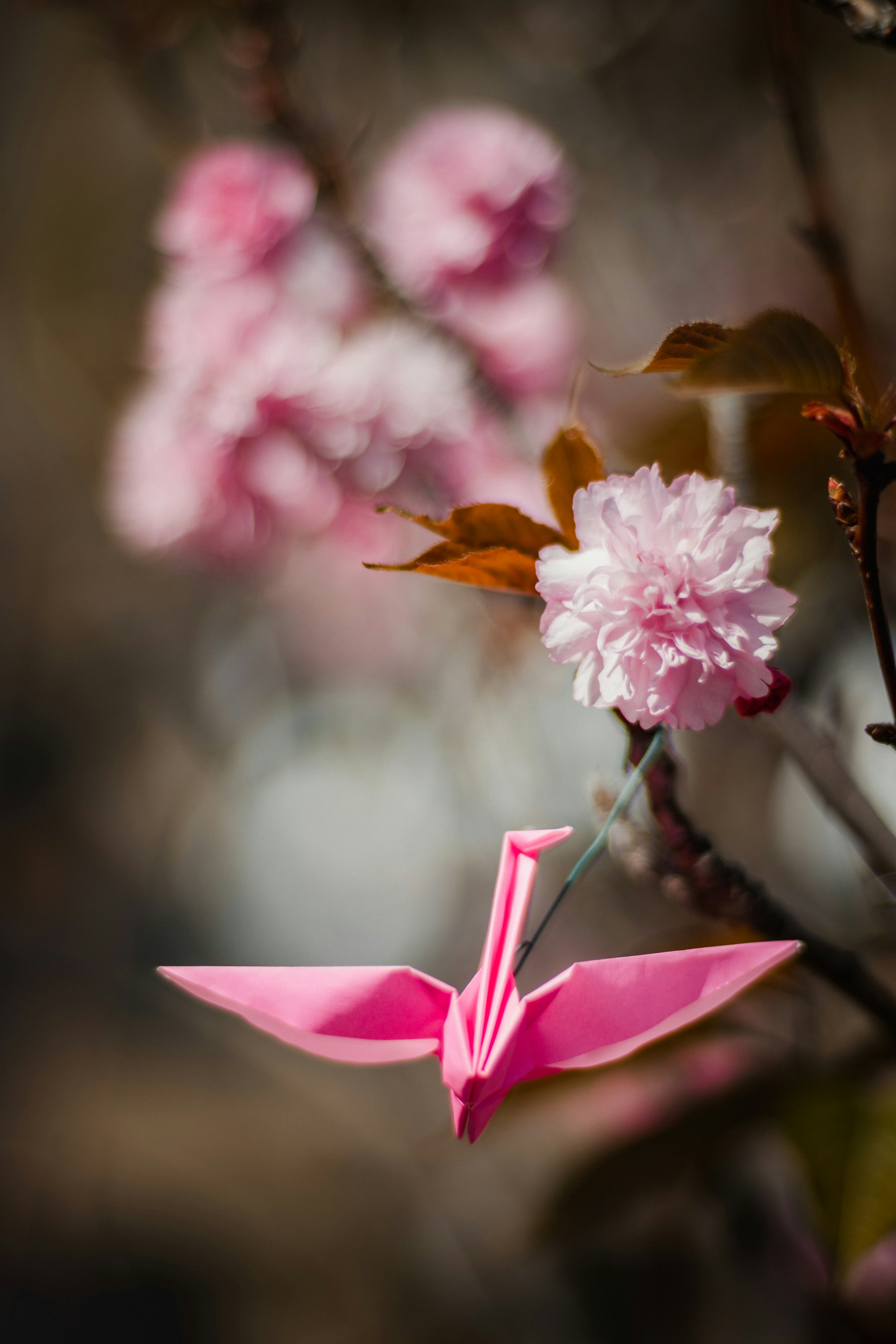 Pink Origami Crane Among Blush Blossoms