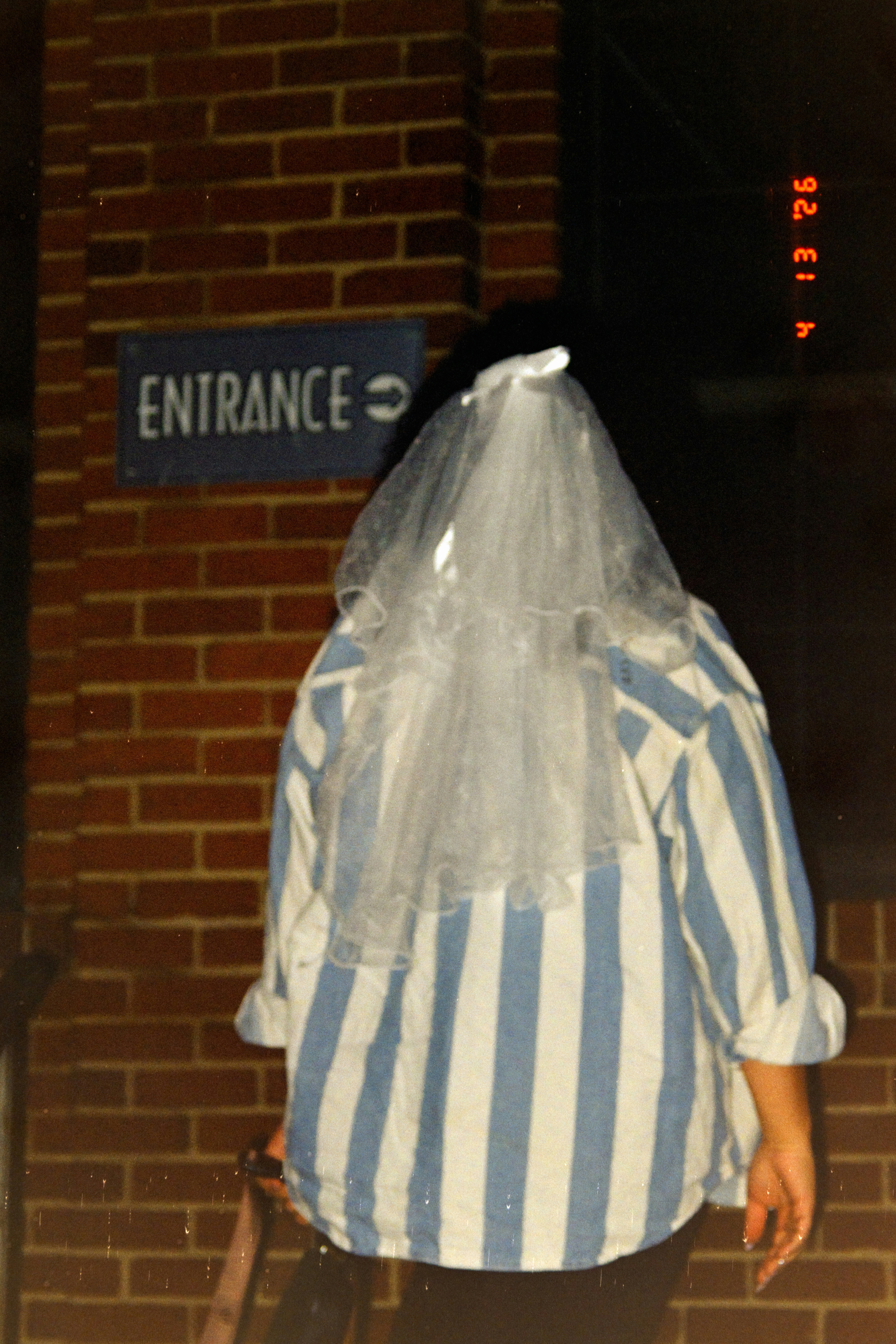 Veiled Figure at the Entrance