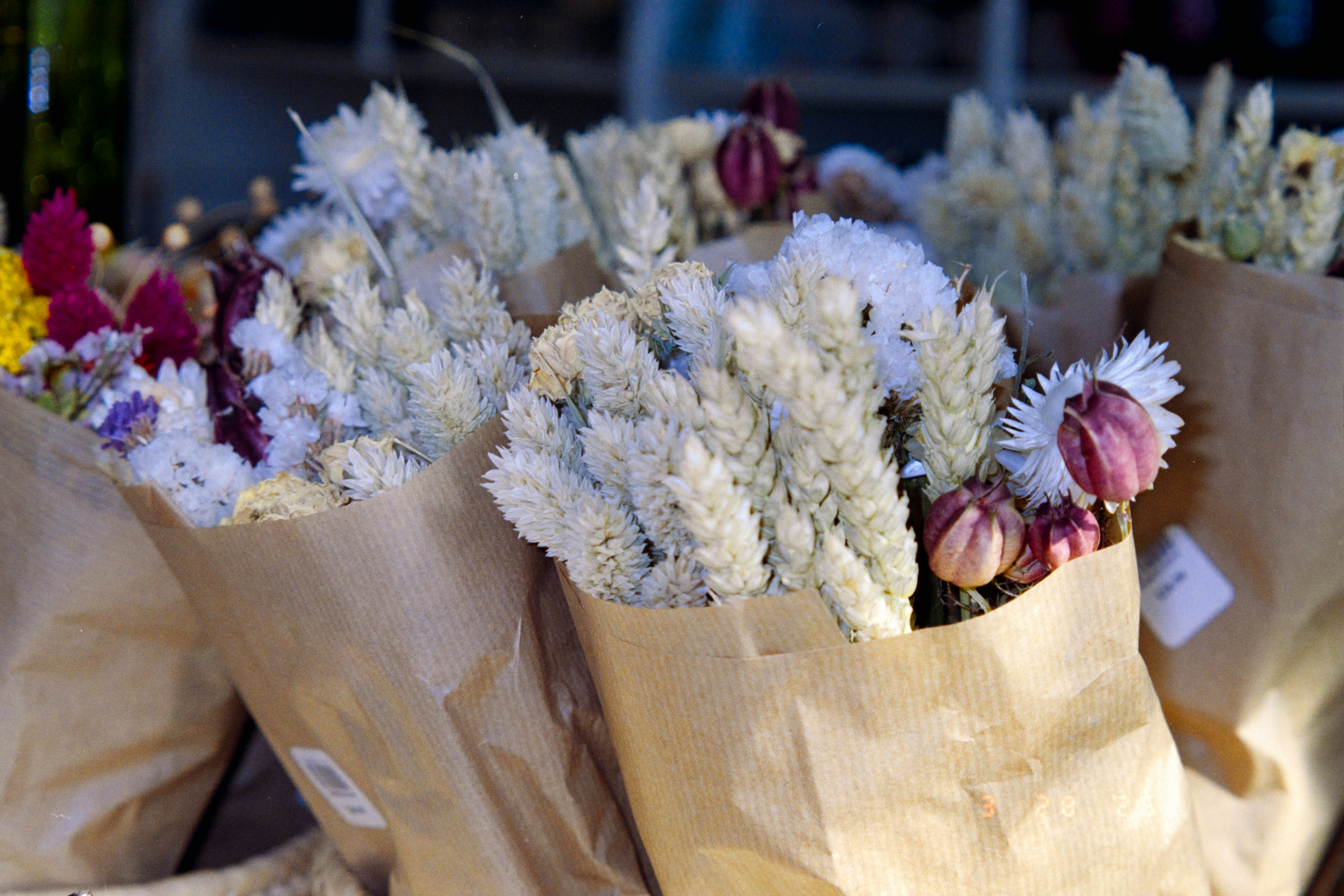 Harvest of Dried Blooms in Kraft Wrapping