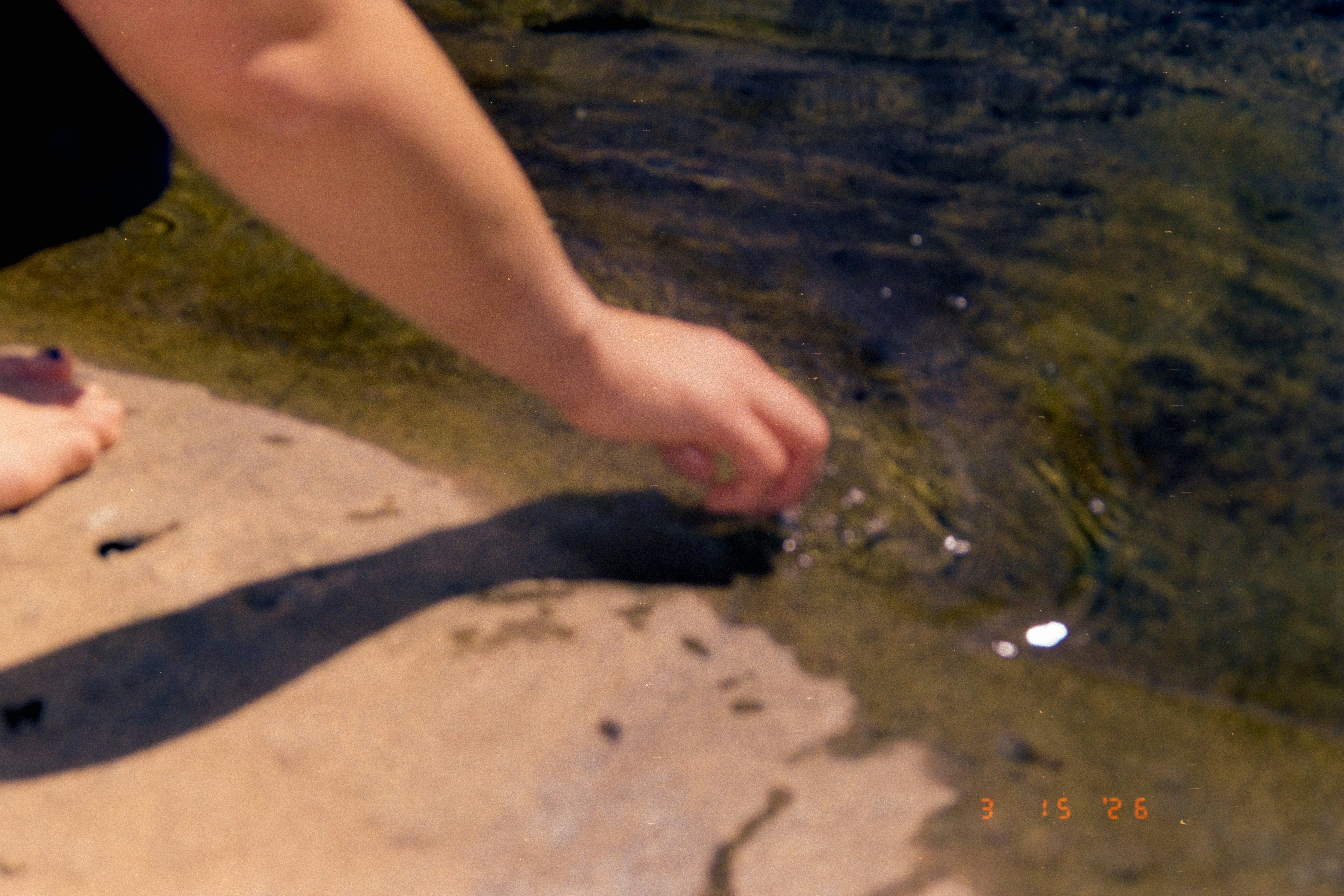 Touch of River Edge: A Gentle Reach to the Water