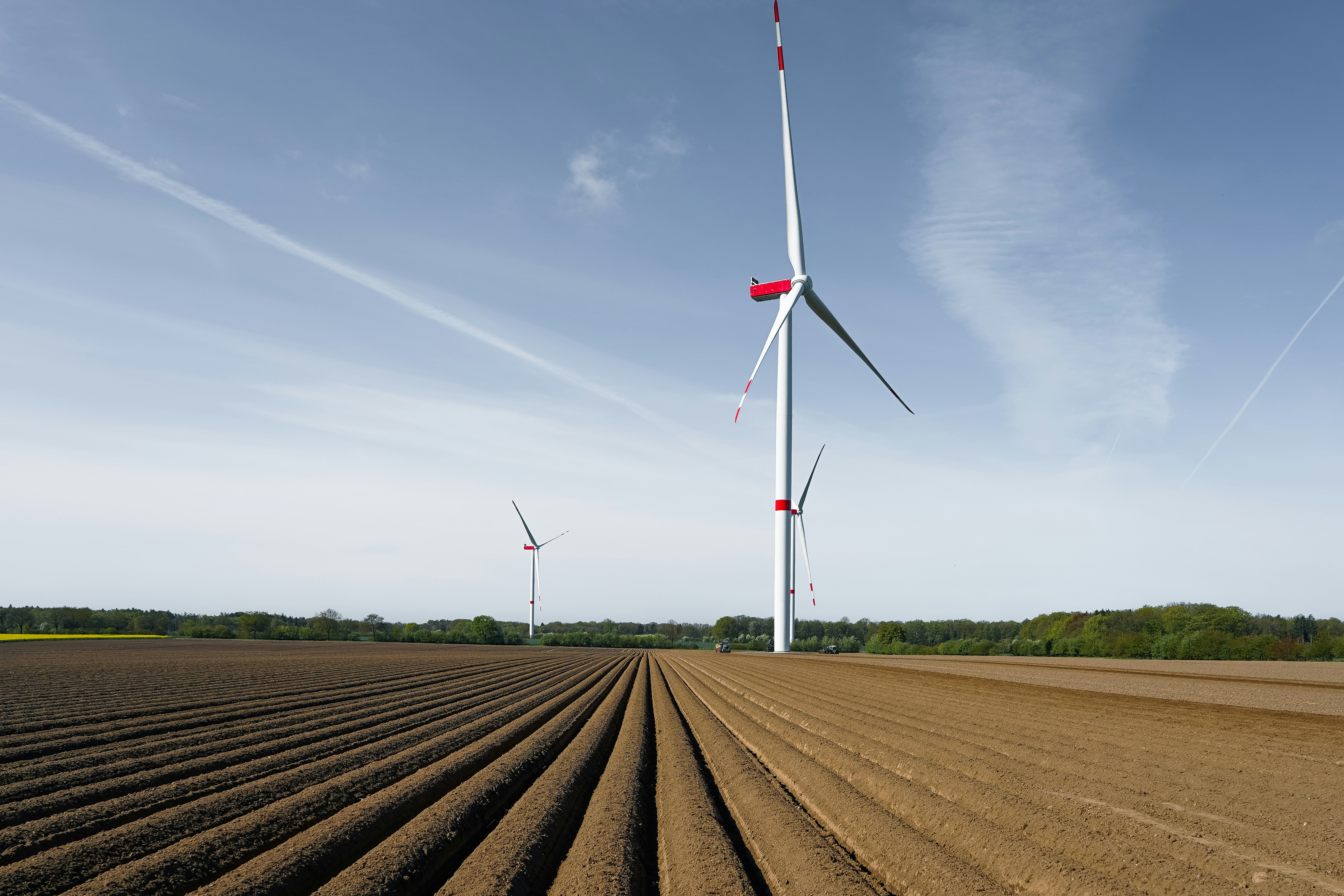 Rows to the Horizon: A Field of Wind and Quiet Power