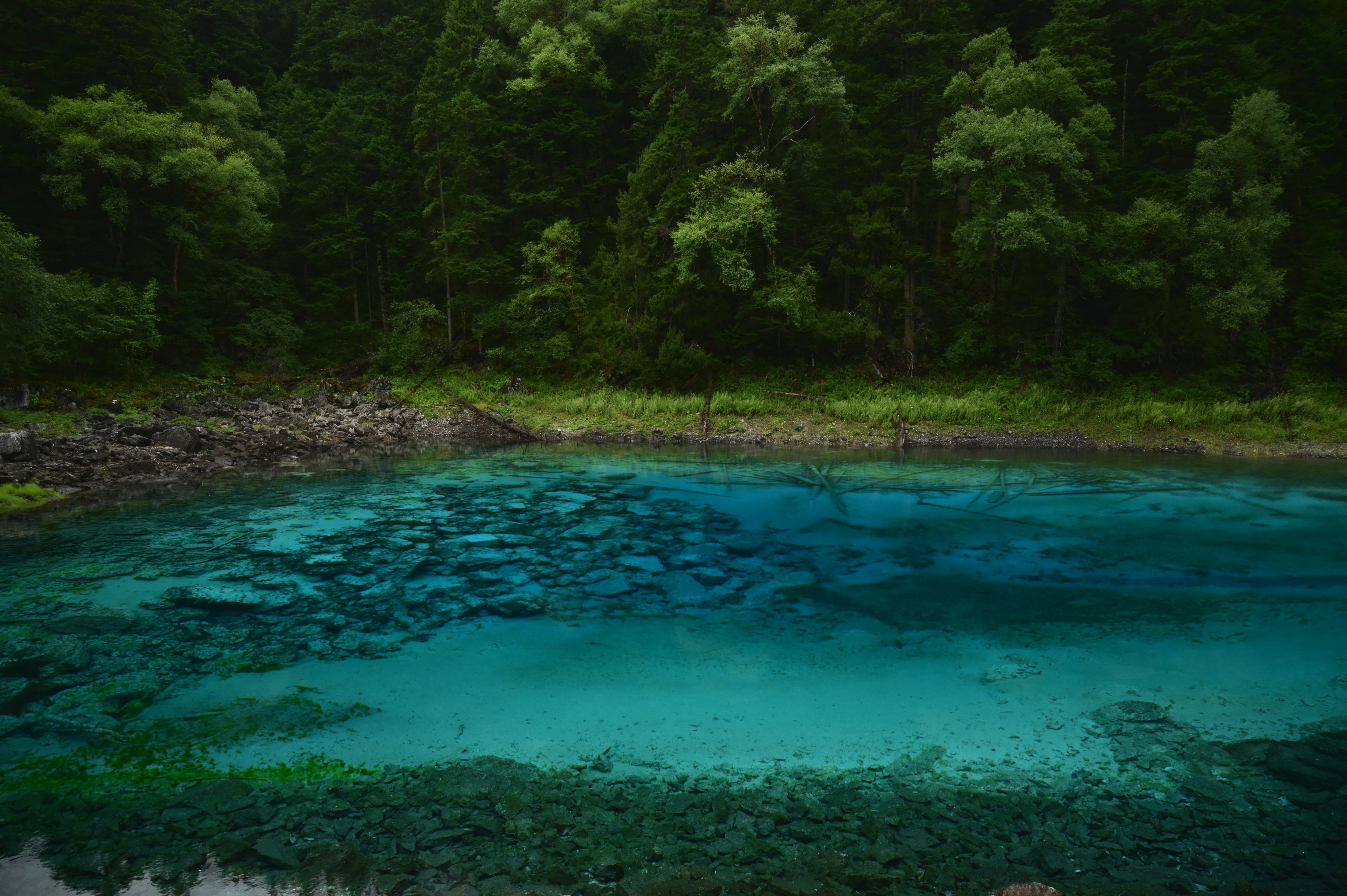 Azure Basin: Turquoise Waters Meeting Dense Green Edge