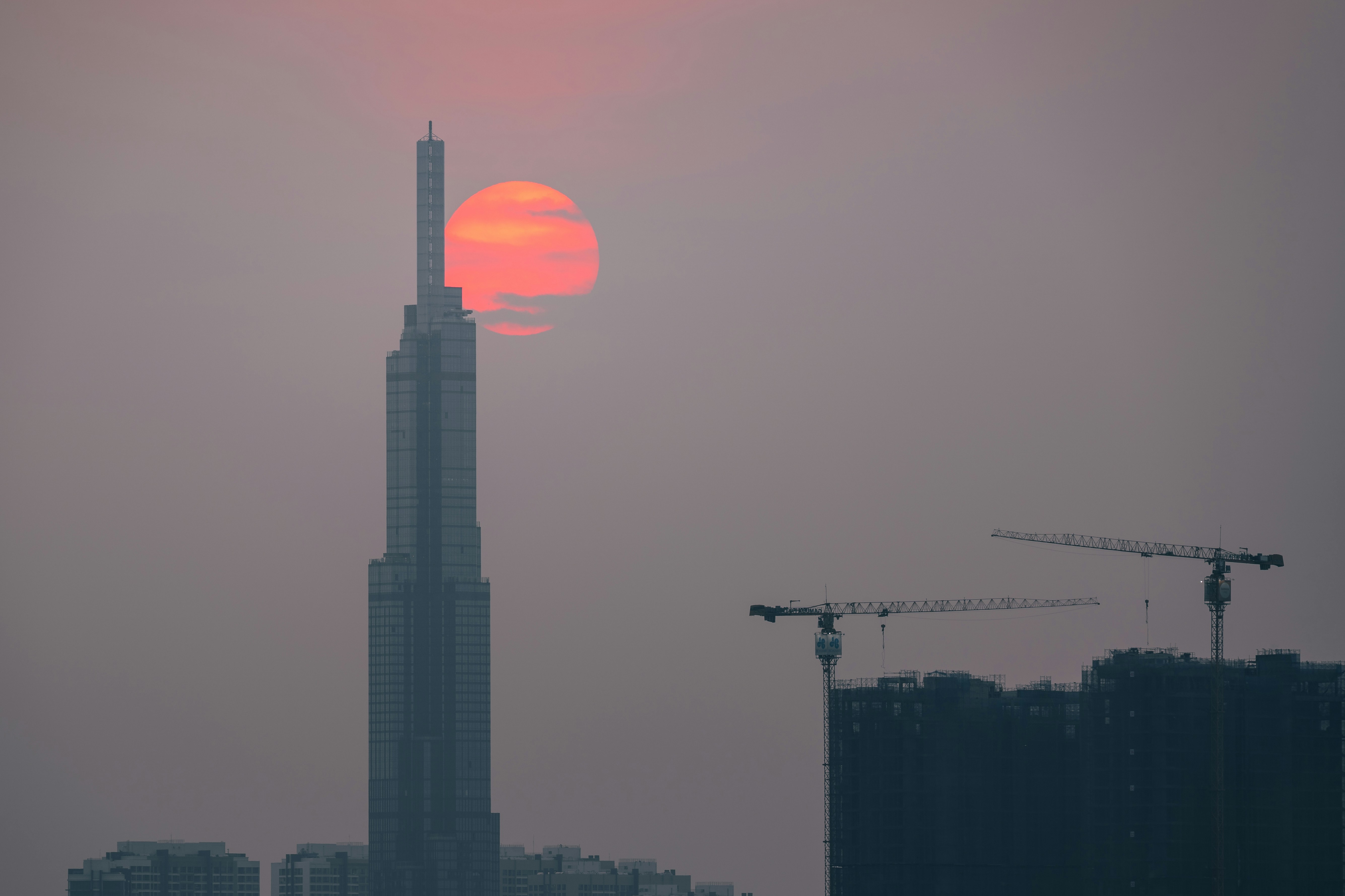 Sunset Over a Silent Skyline: The Needle and the Cranes