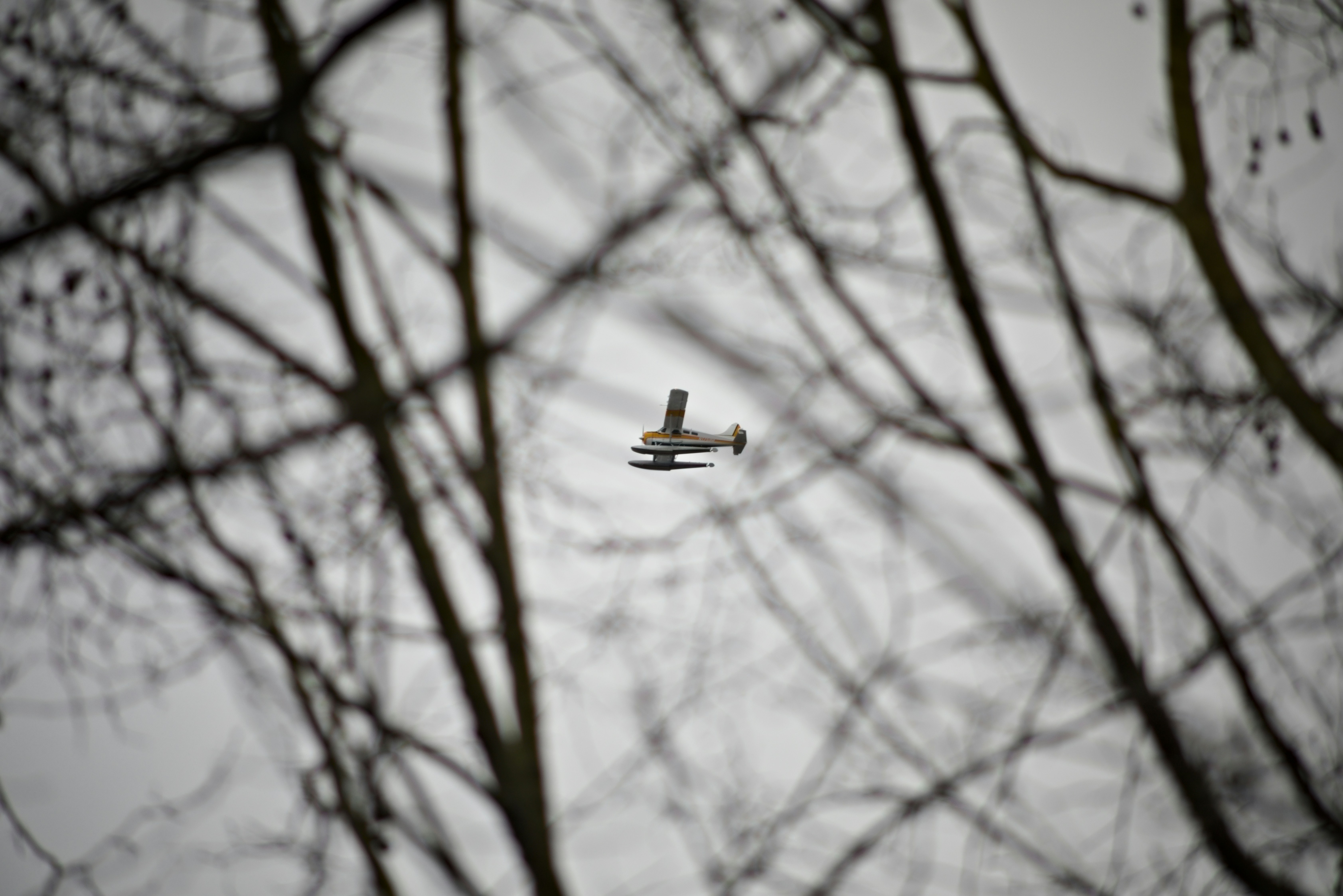 Midair Silver Liner Through Bare Branches
