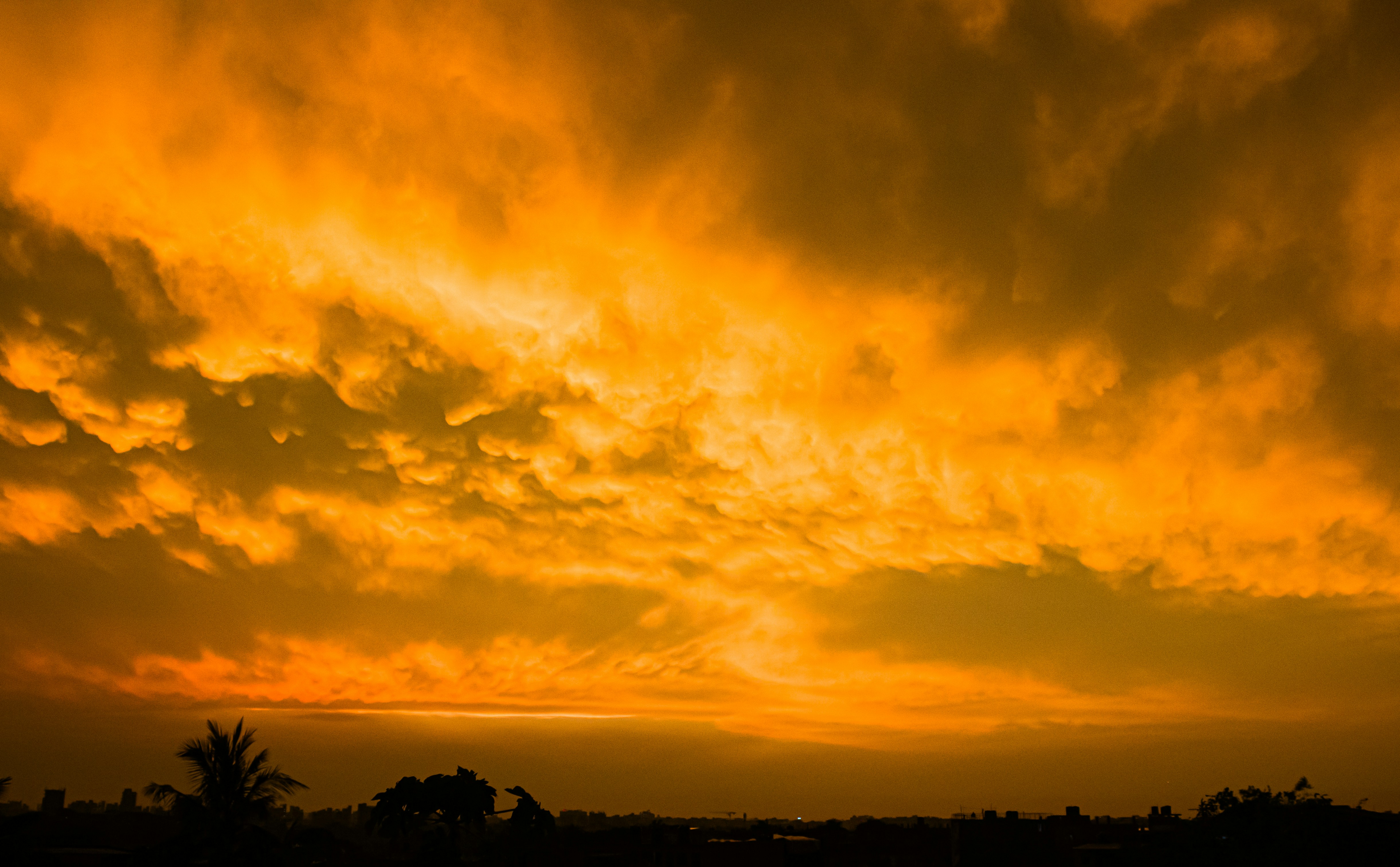 Golden Horizon Over Quiet Flats