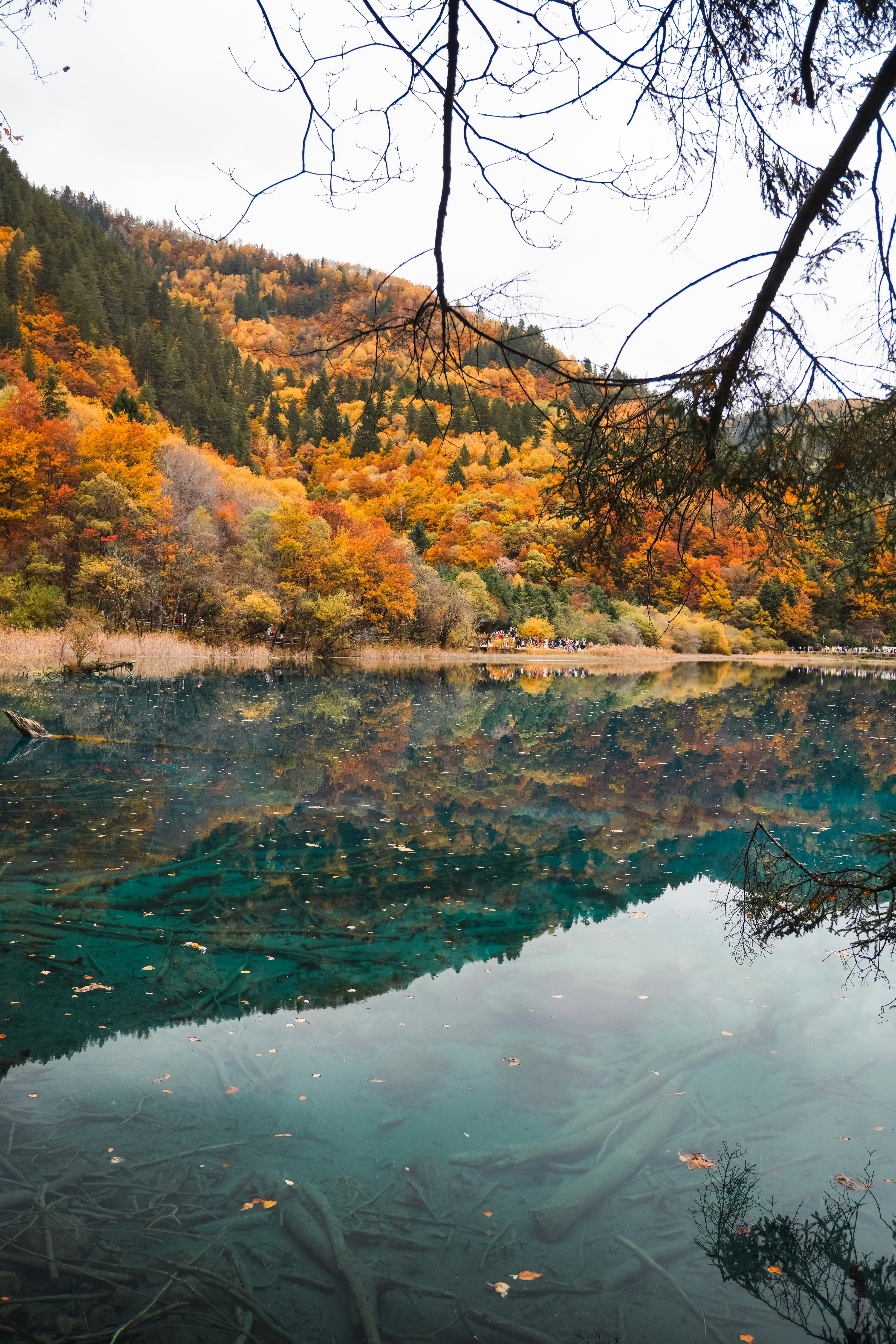 Autumn Mirror: A Quiet Lake Framed by Fiery Hills