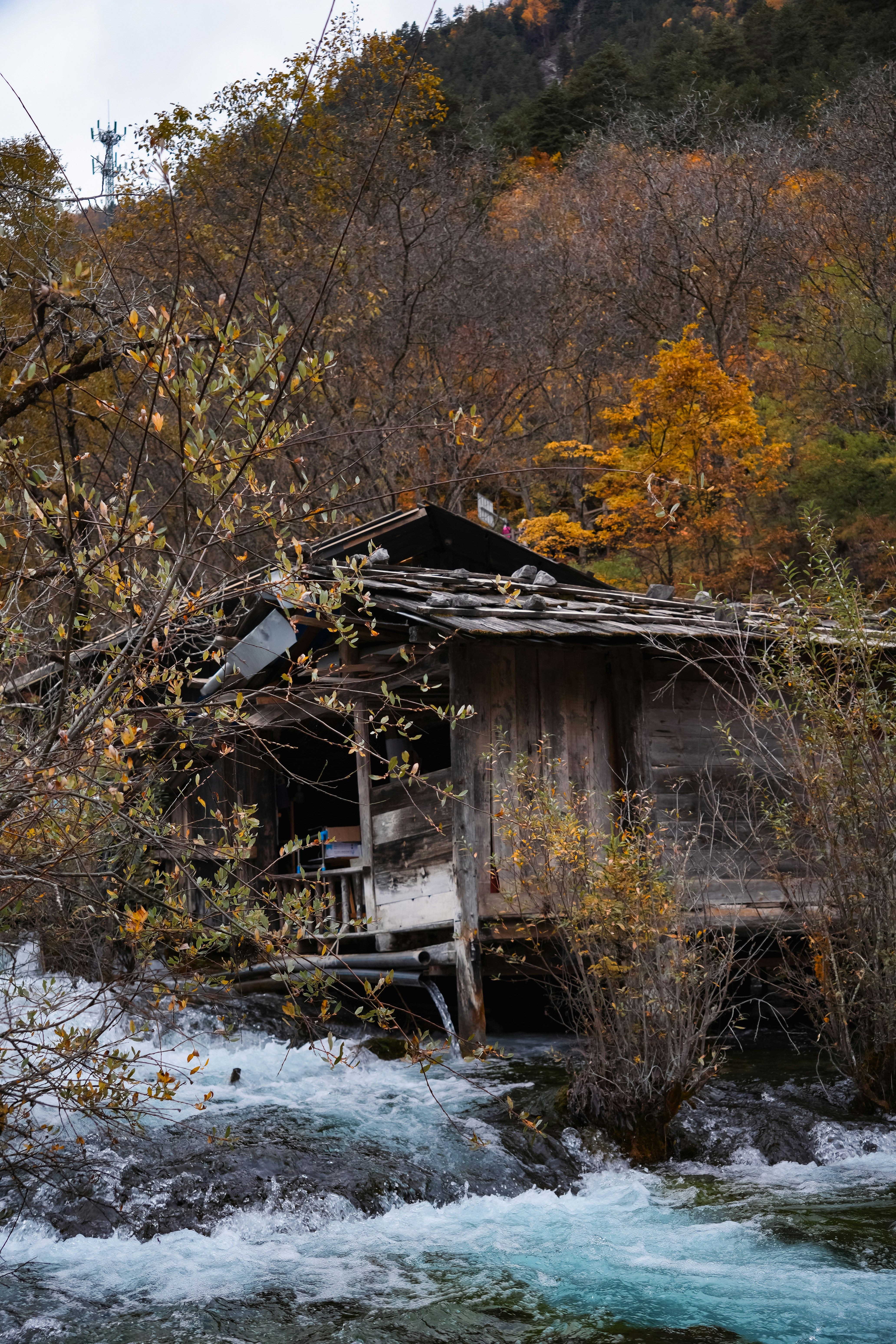 The Watermill at Autumn’s Edge