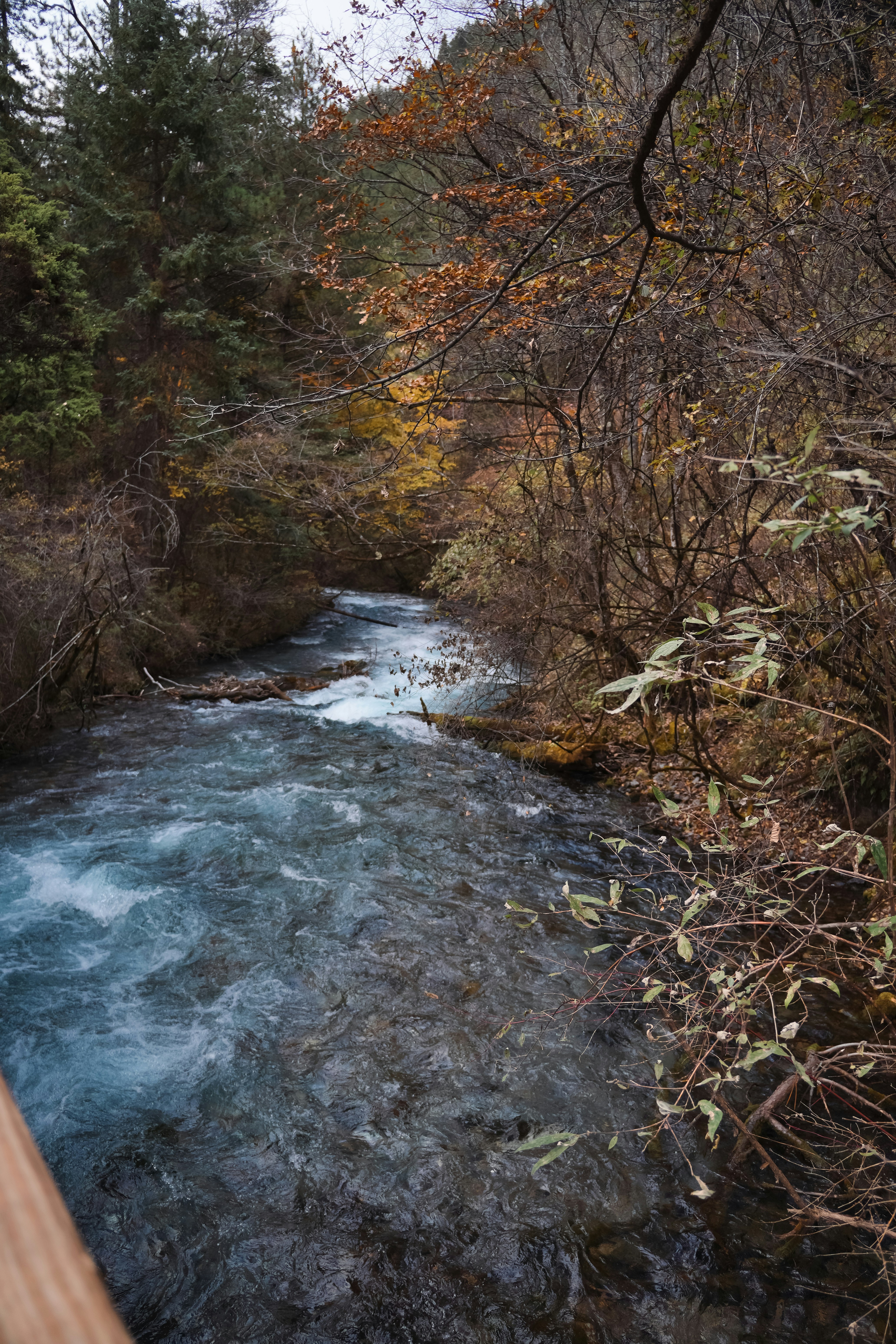 River Run Through Autumn Gorge