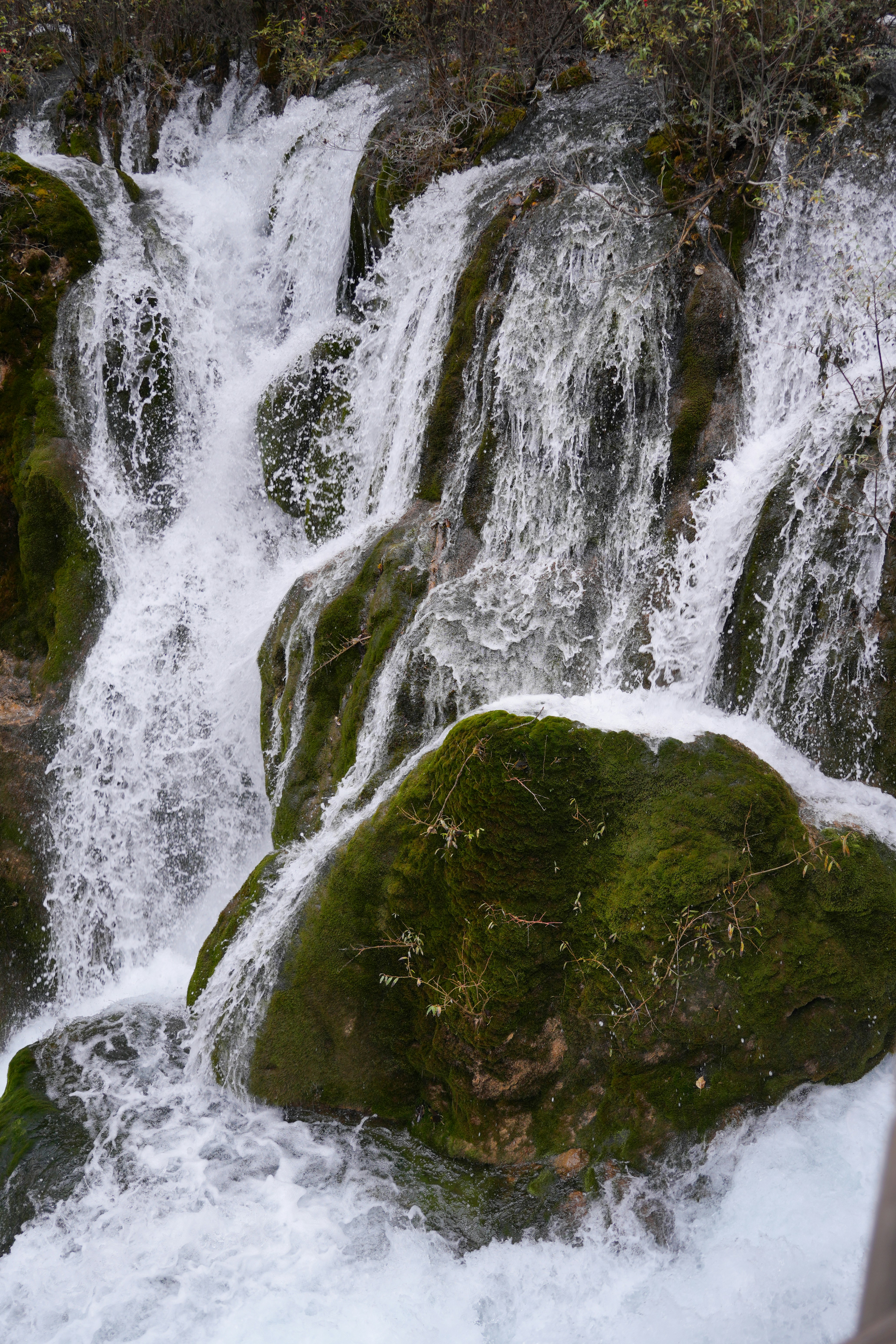 Nature’s Veil: Mossy Steps Beneath a Cascading Torrent