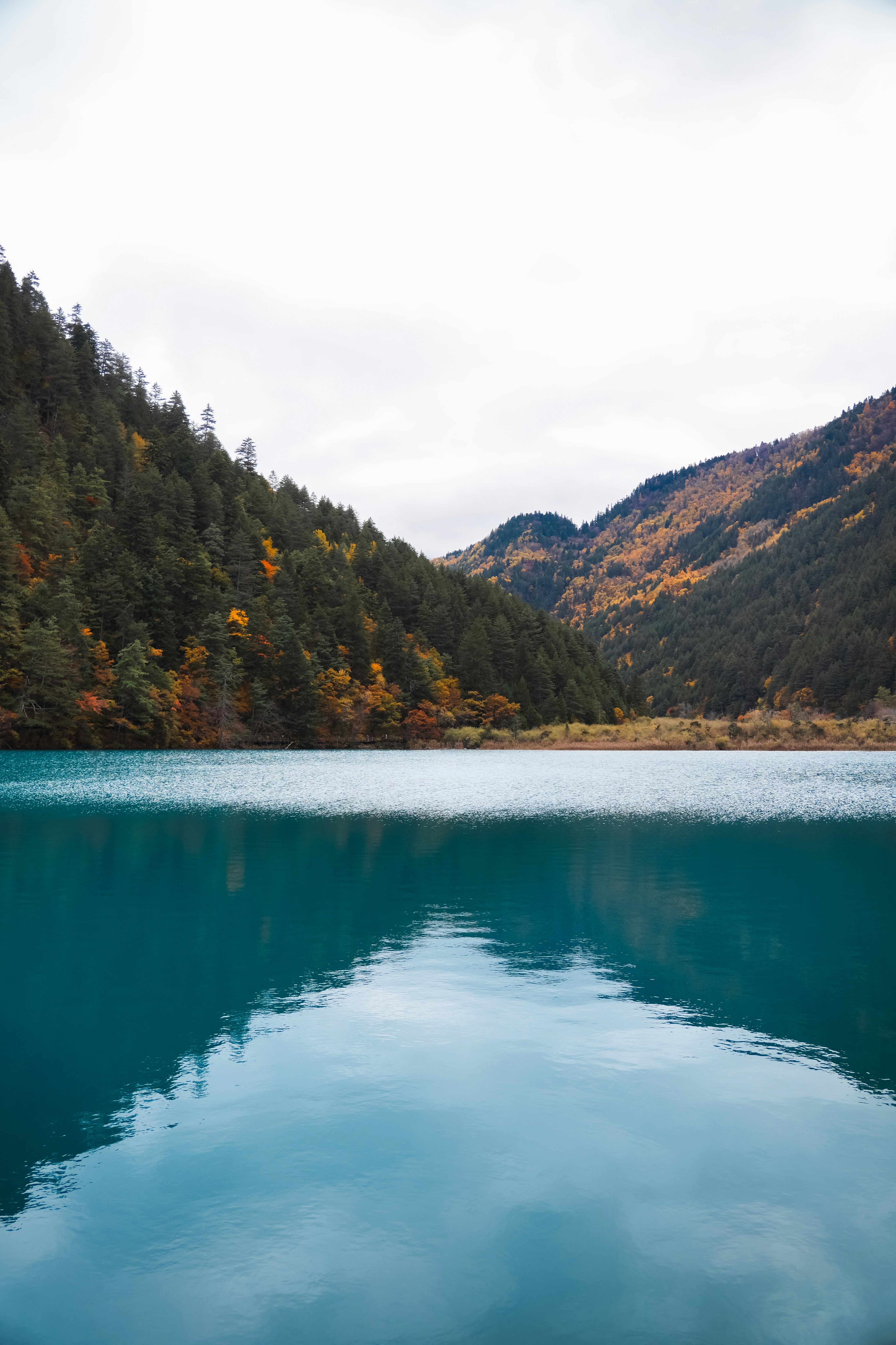 Emerald Lake Mirror: Autumn Pines Framed by Valley Hills