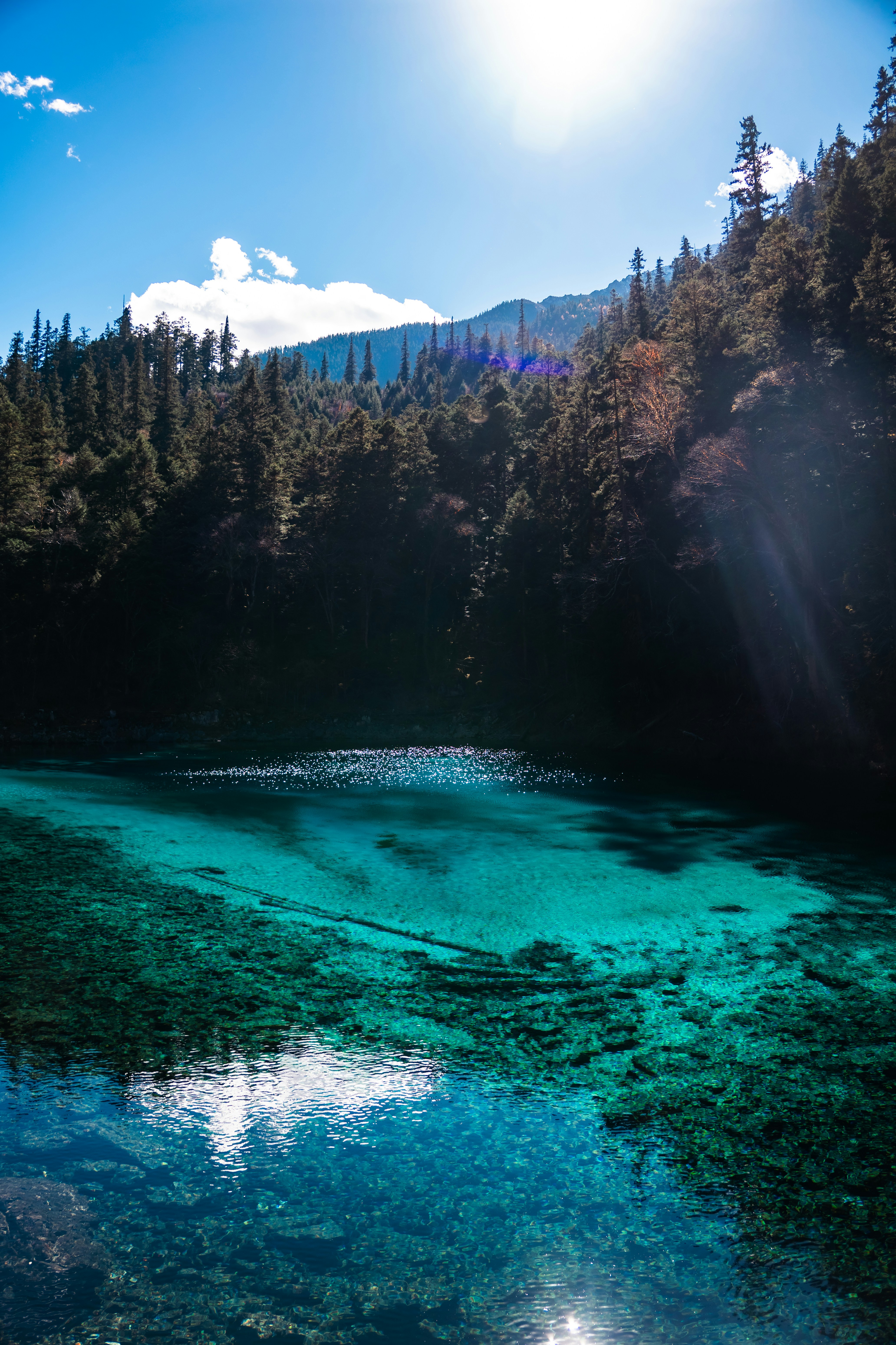 Crystal Lagoon Under Alpine Light