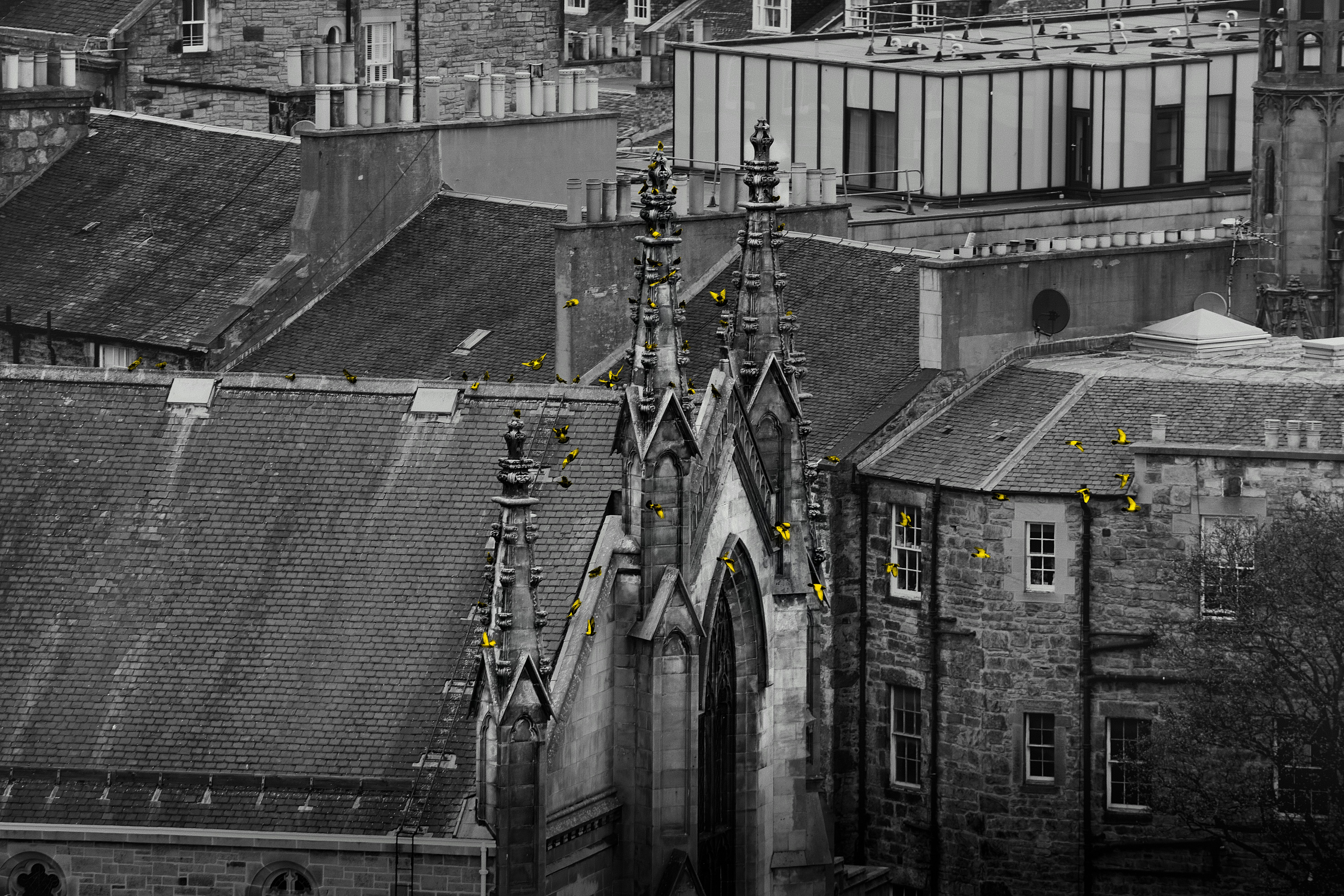 Gothic Rooftops and Limestone Spires in Quiet Monochrome