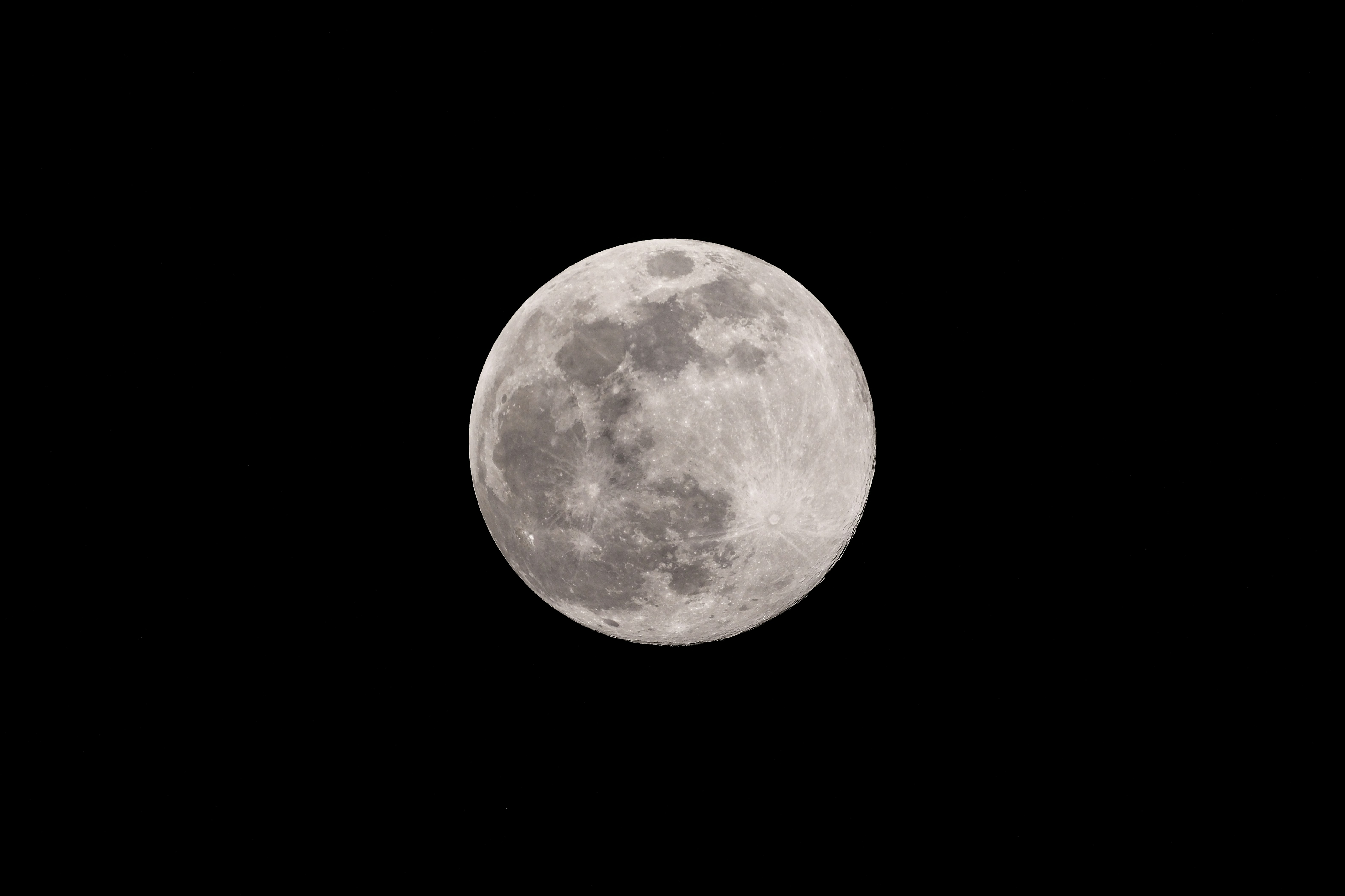 Lone Moon in a Velvet Night