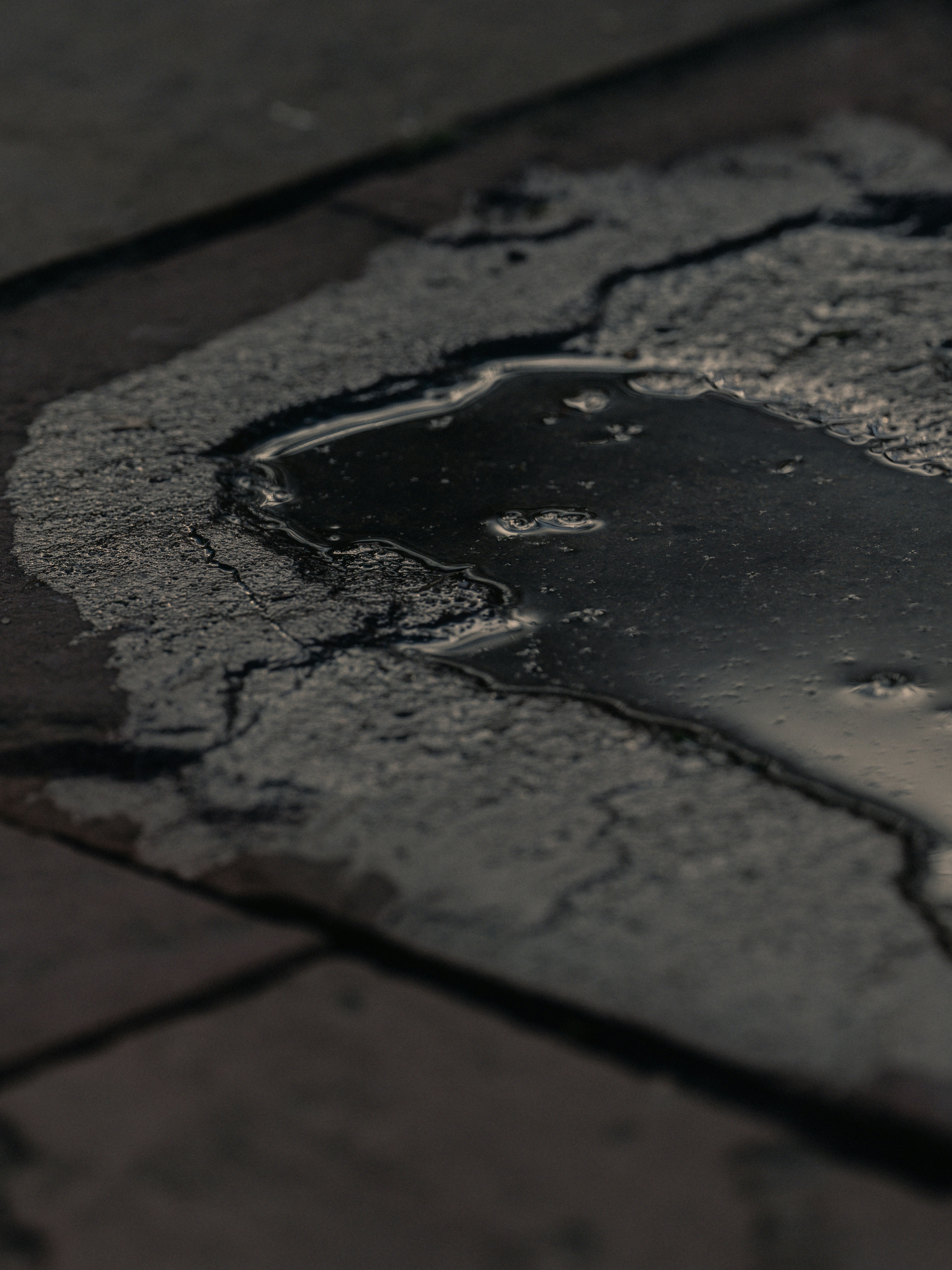 Puddled Pavement: A Quiet Moment of Wet Stone and Texture