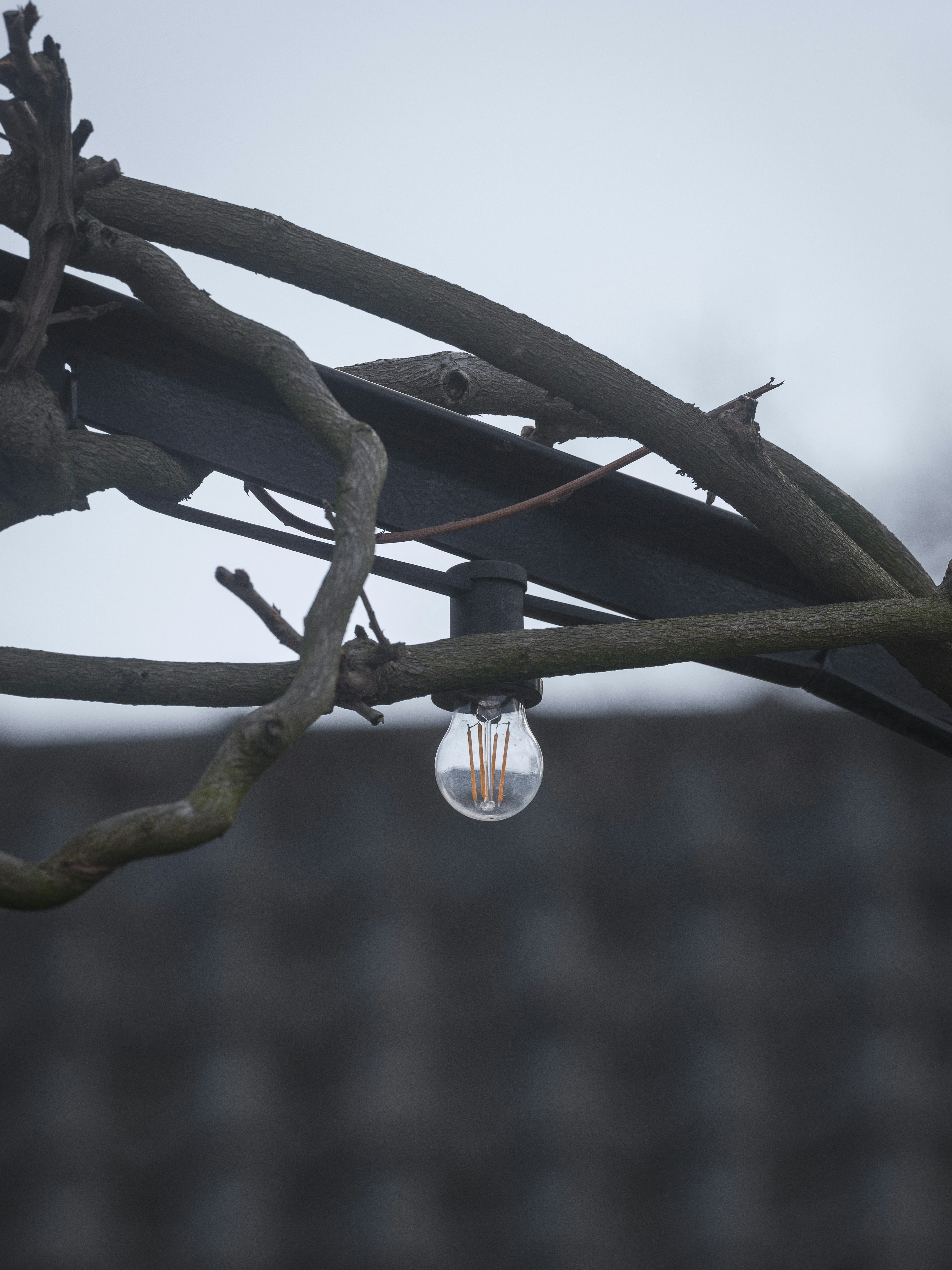 A Single Bulb Among Tangles: Quiet Illumination on Weathered Steel