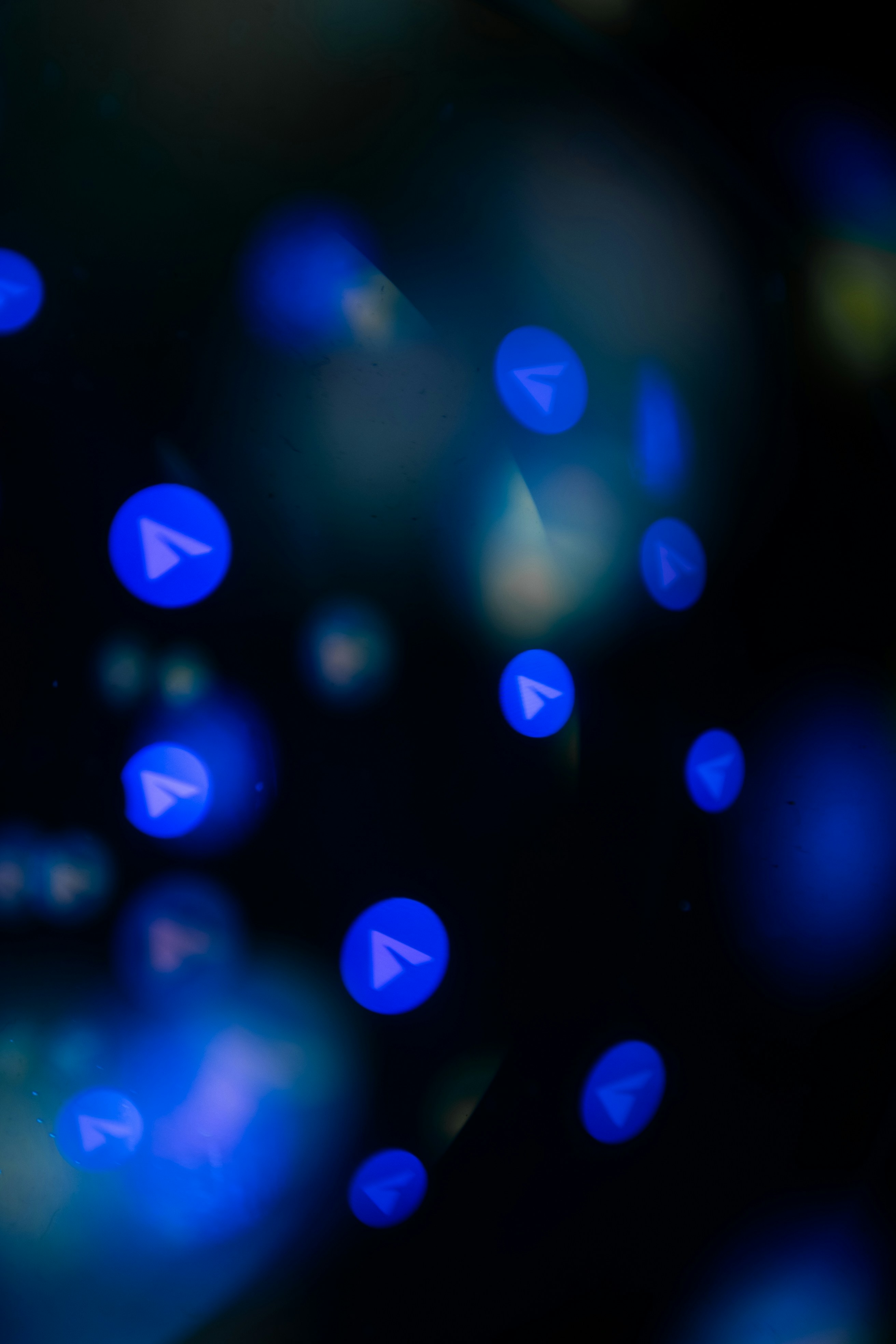 Blue Orbs in a Velvet Night