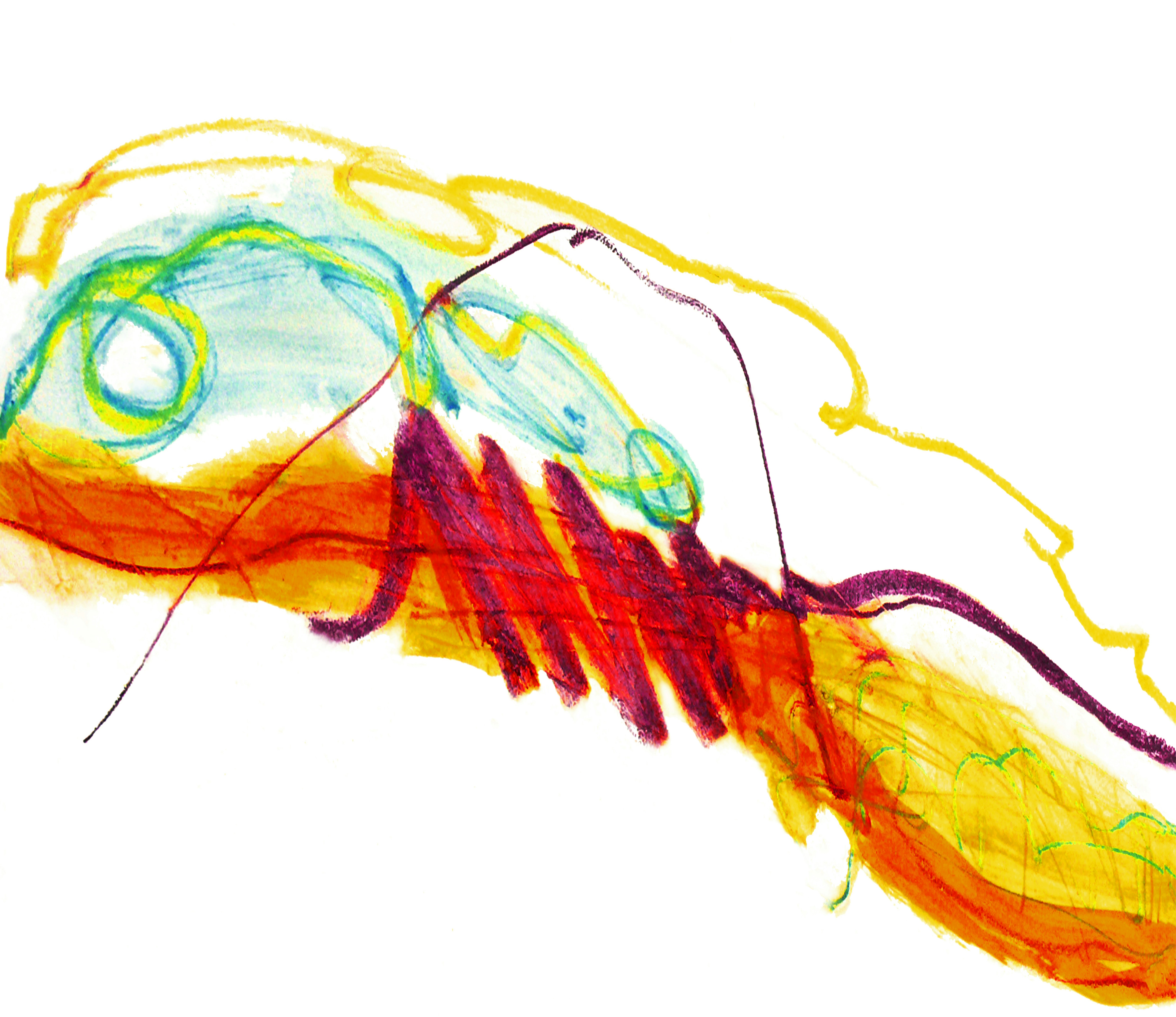 Colorful Ripple: An Abstract Study in Motion and Hue