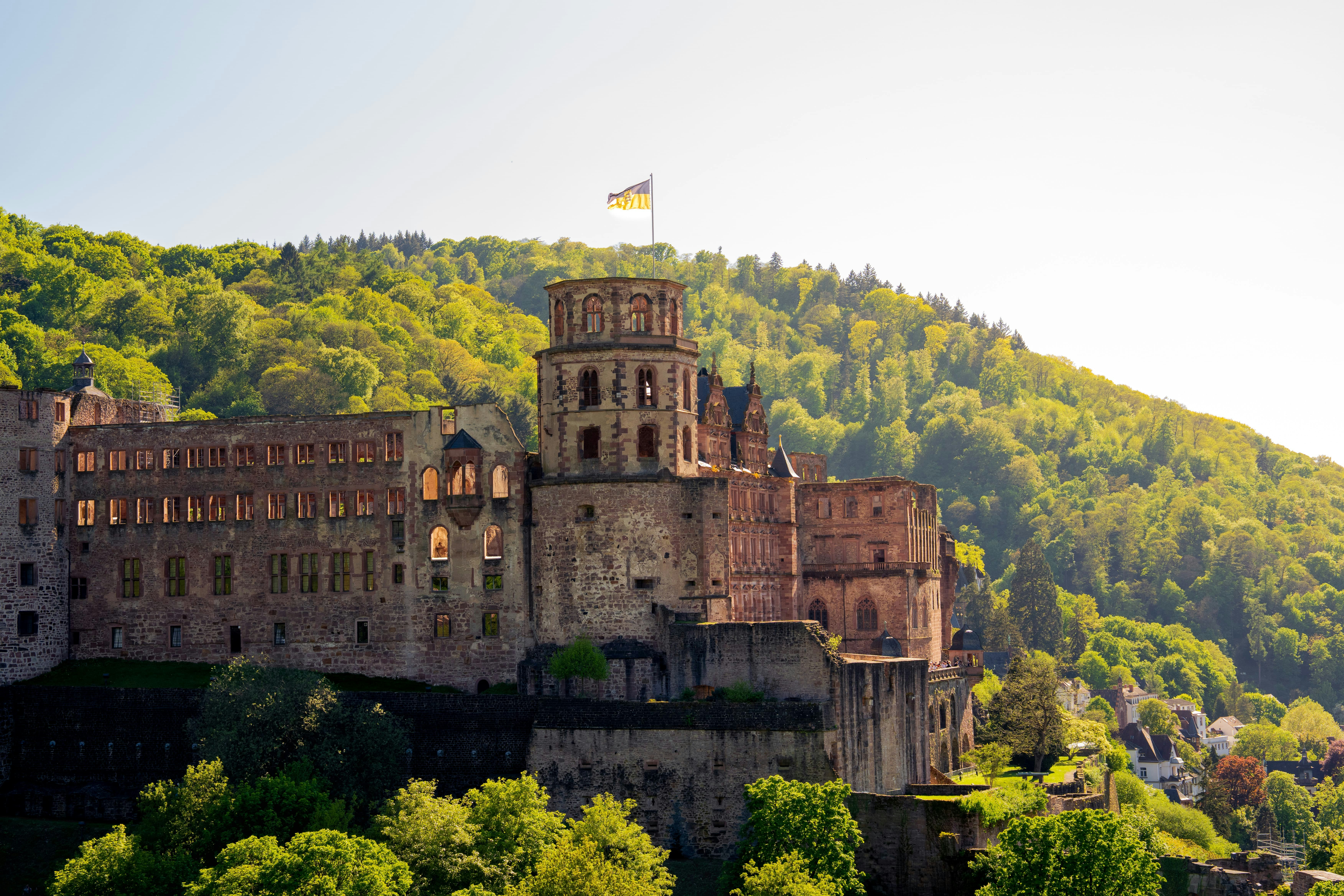 Castle Crowned by a Verdant Hill