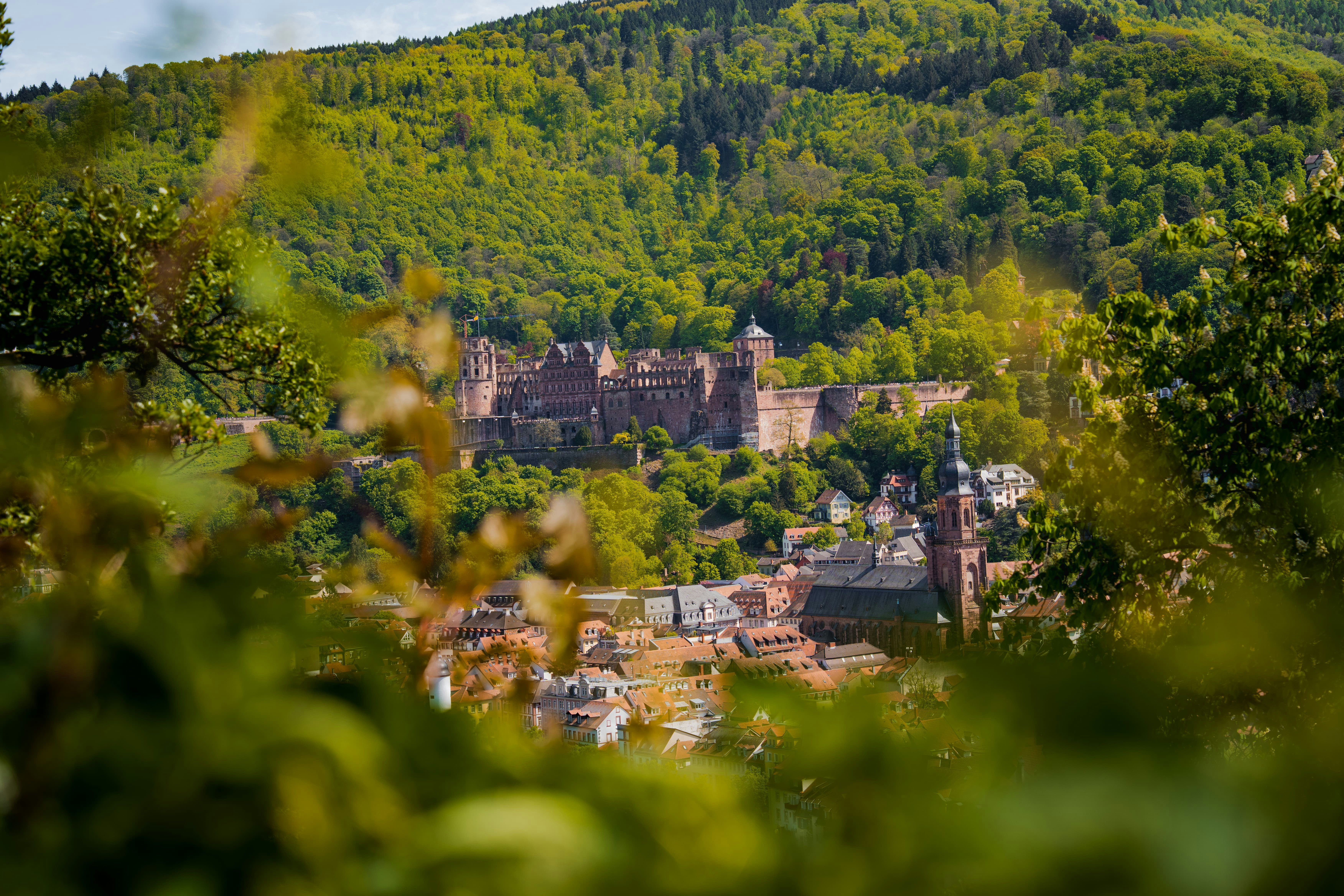 Castle Village Vista framed by green canopy