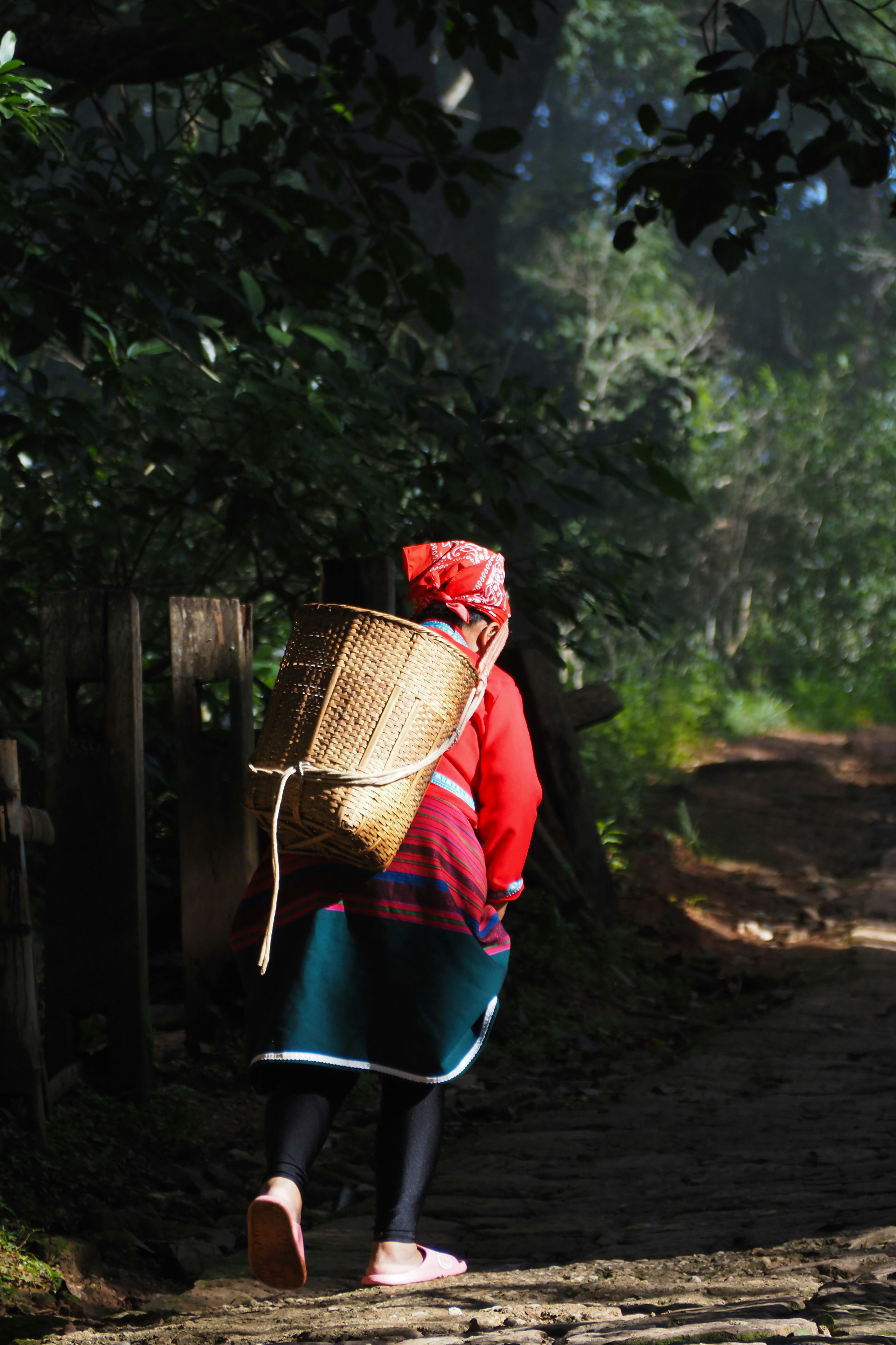 Traveler in Red: A Basket-Bearing Journey Along a Shaded Path
