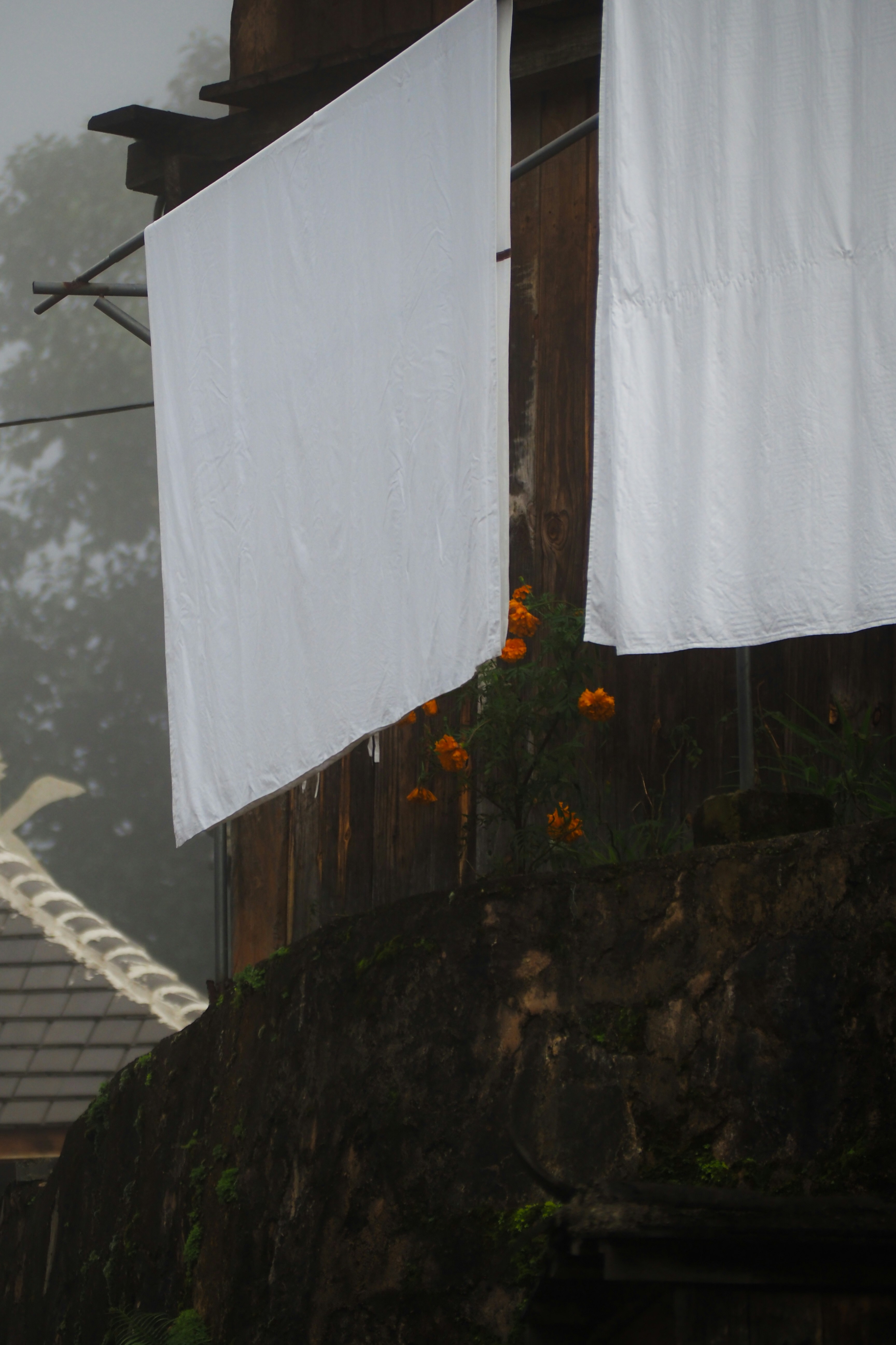 White laundry billows over a weathered stone balcony with orange blooms peeking through
