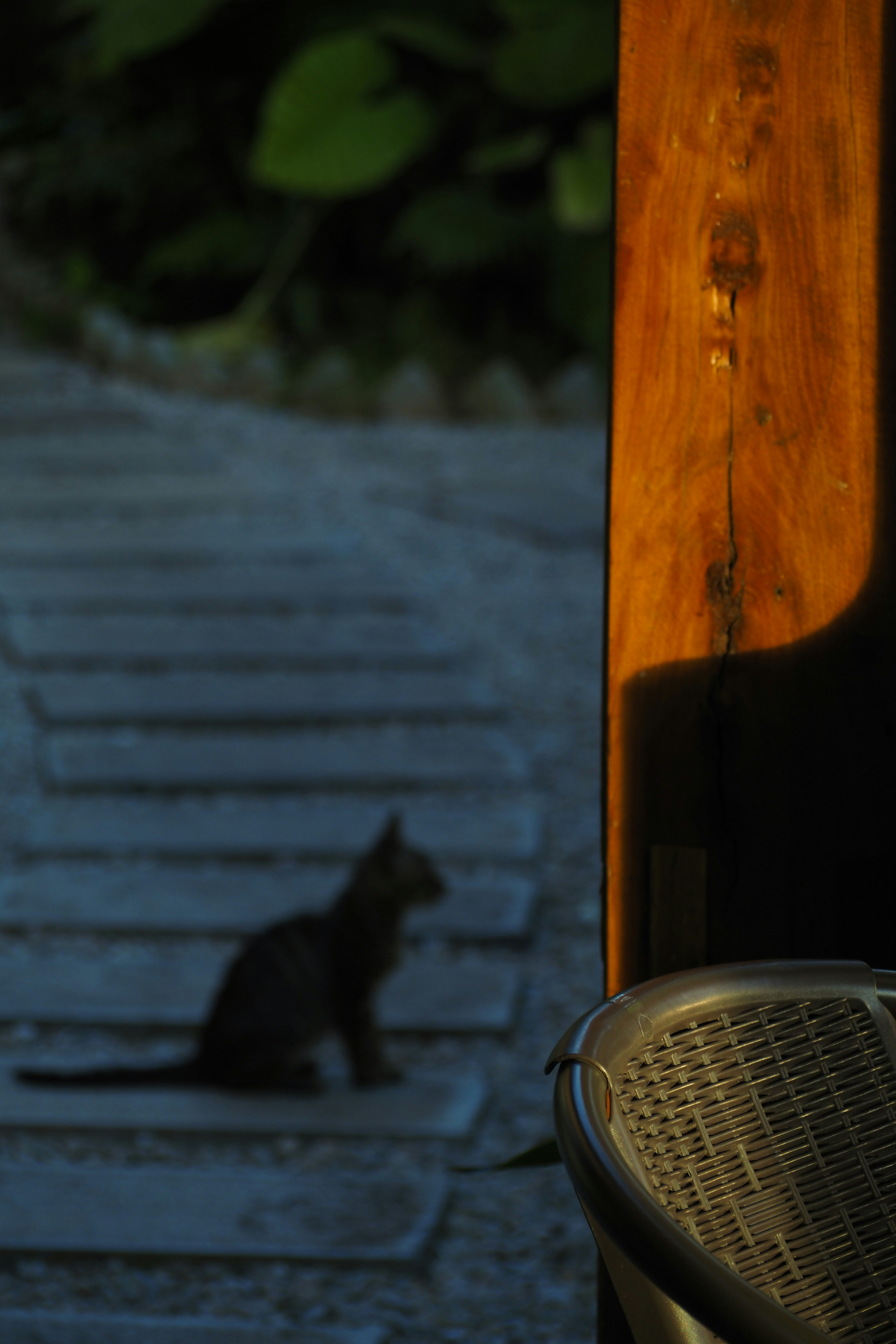 Shadows and Stool: A Quiet Stairway to Evening