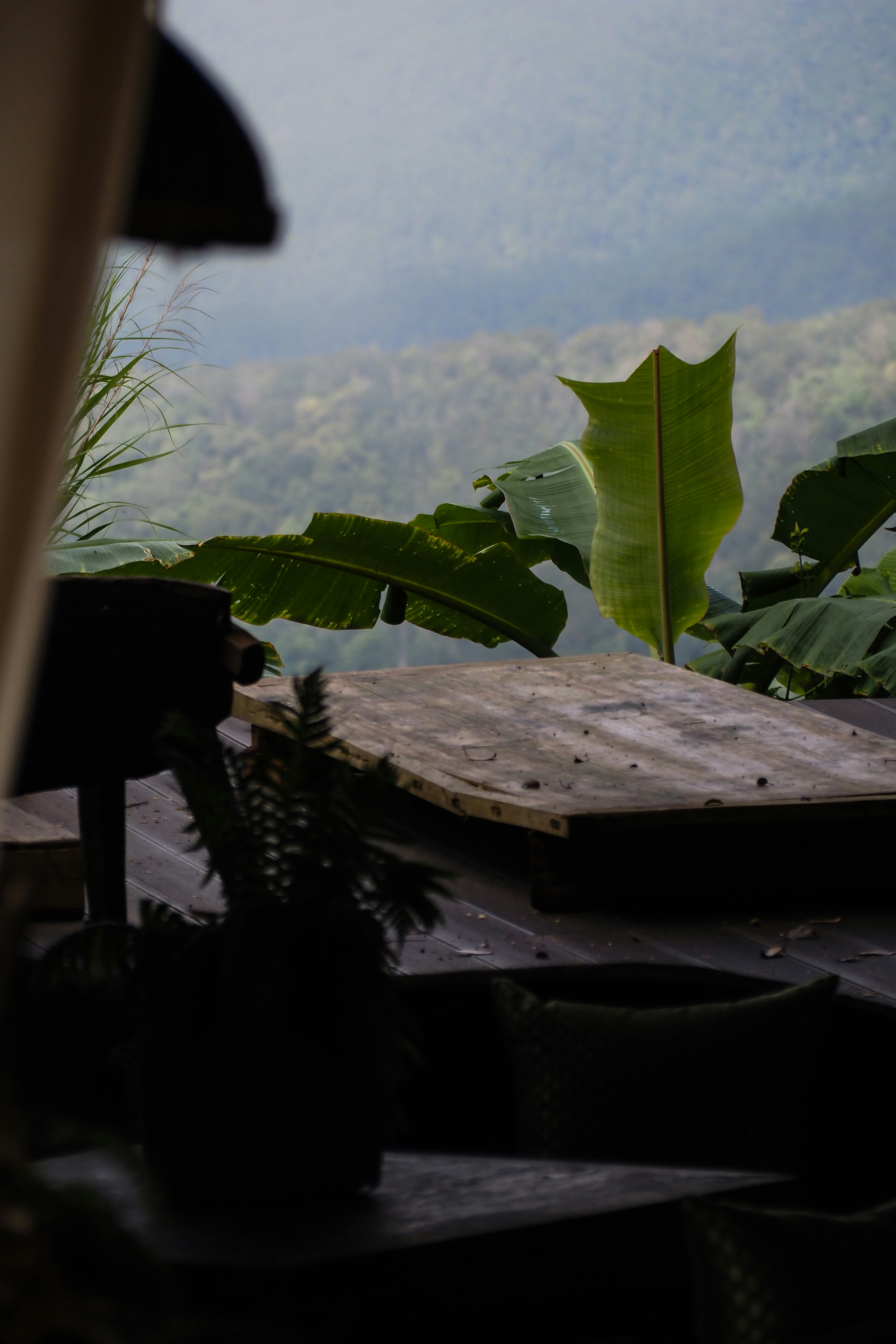 Hidden Terrace Vista: Bananas and Backdrop