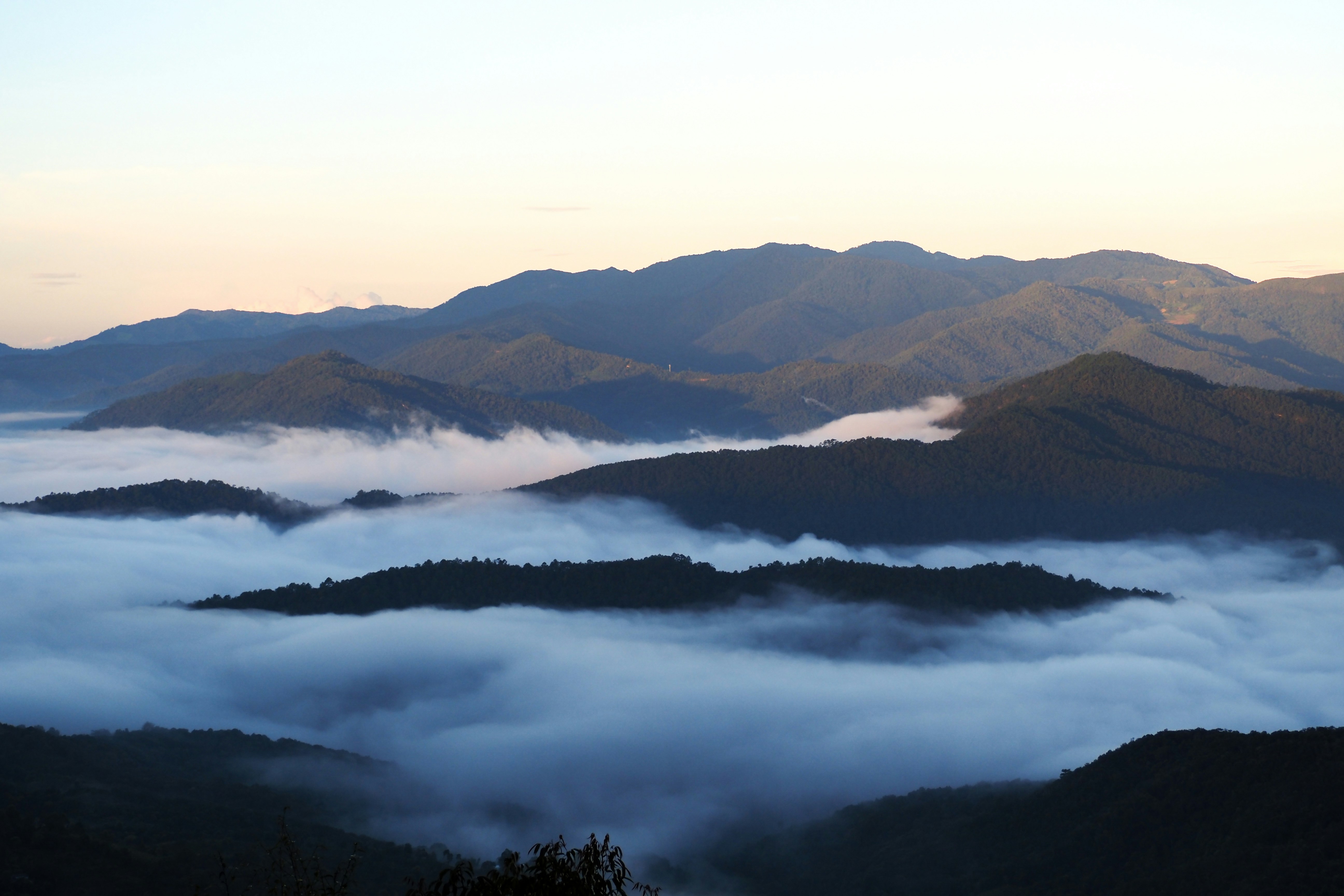 Mist-Laced Ridge at Dawn