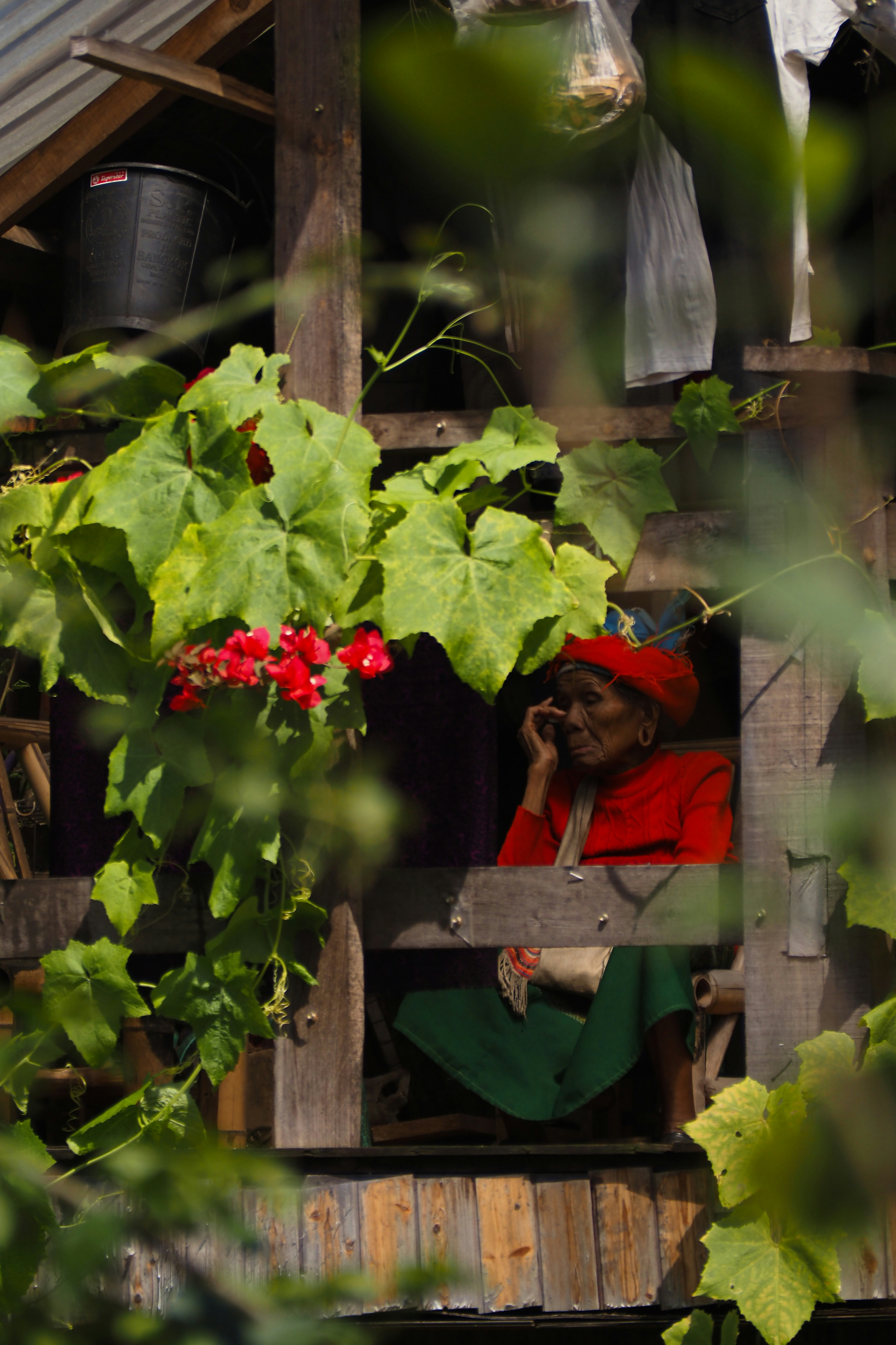 Red-clad Observer in a Verdant Balcony Nook
