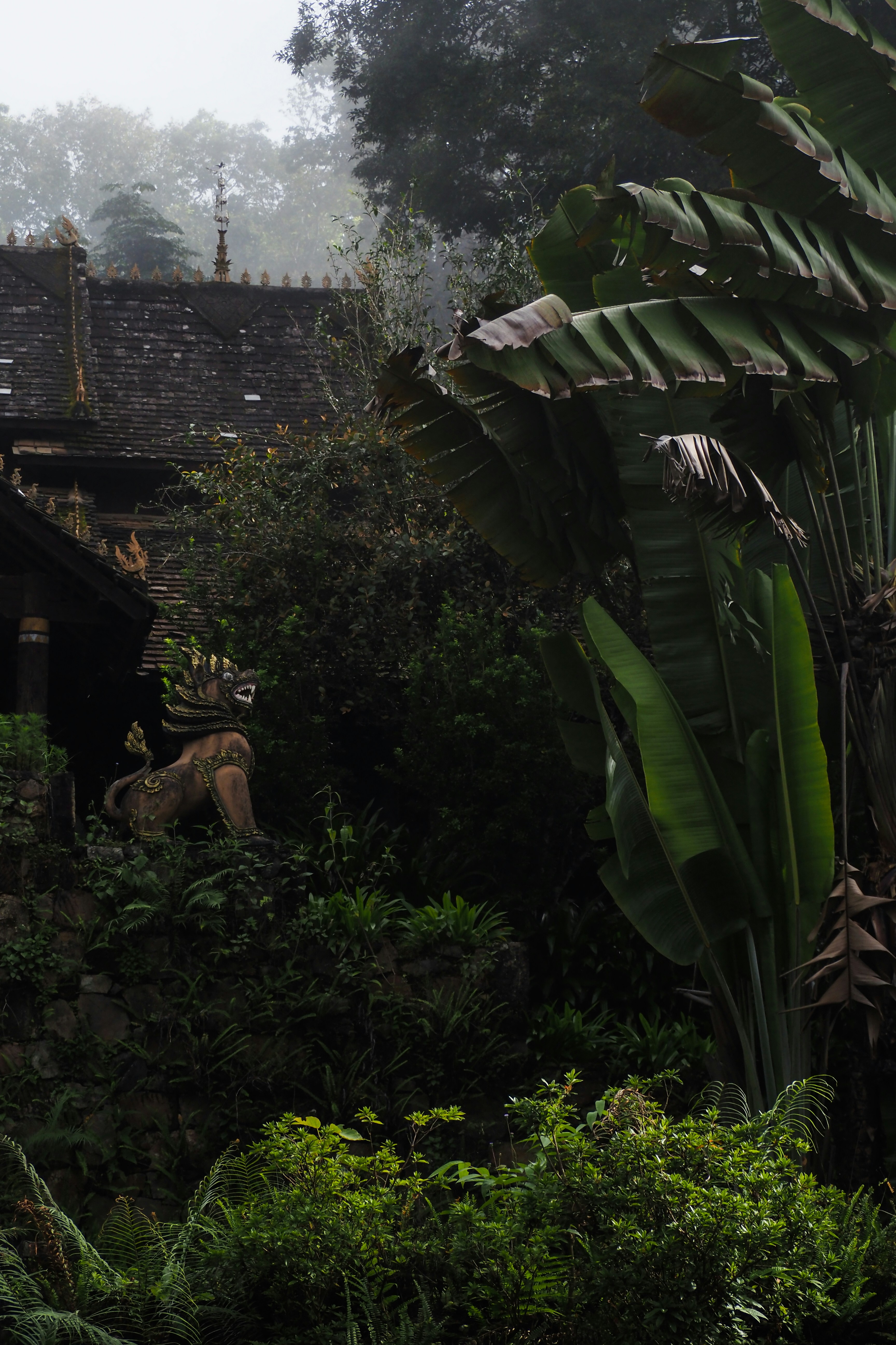 Hidden Guardian in the Garden